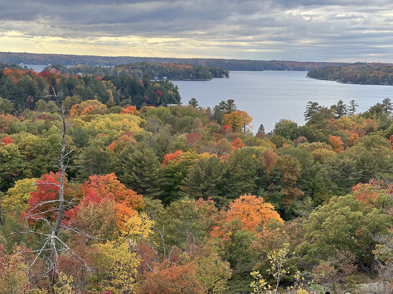 Huckleberry Rock Lookout (2026) – Best of TikTok, Instagram & Reddit ...