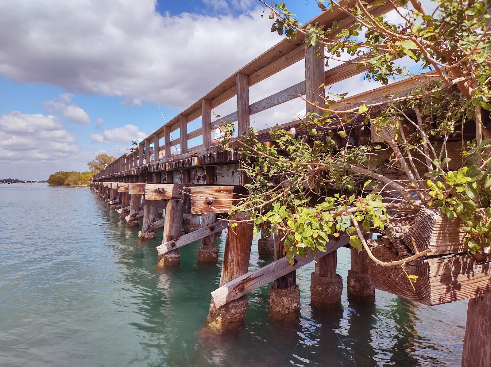 Placida Fishing Pier (2026) – Best of TikTok, Instagram & Reddit Travel ...