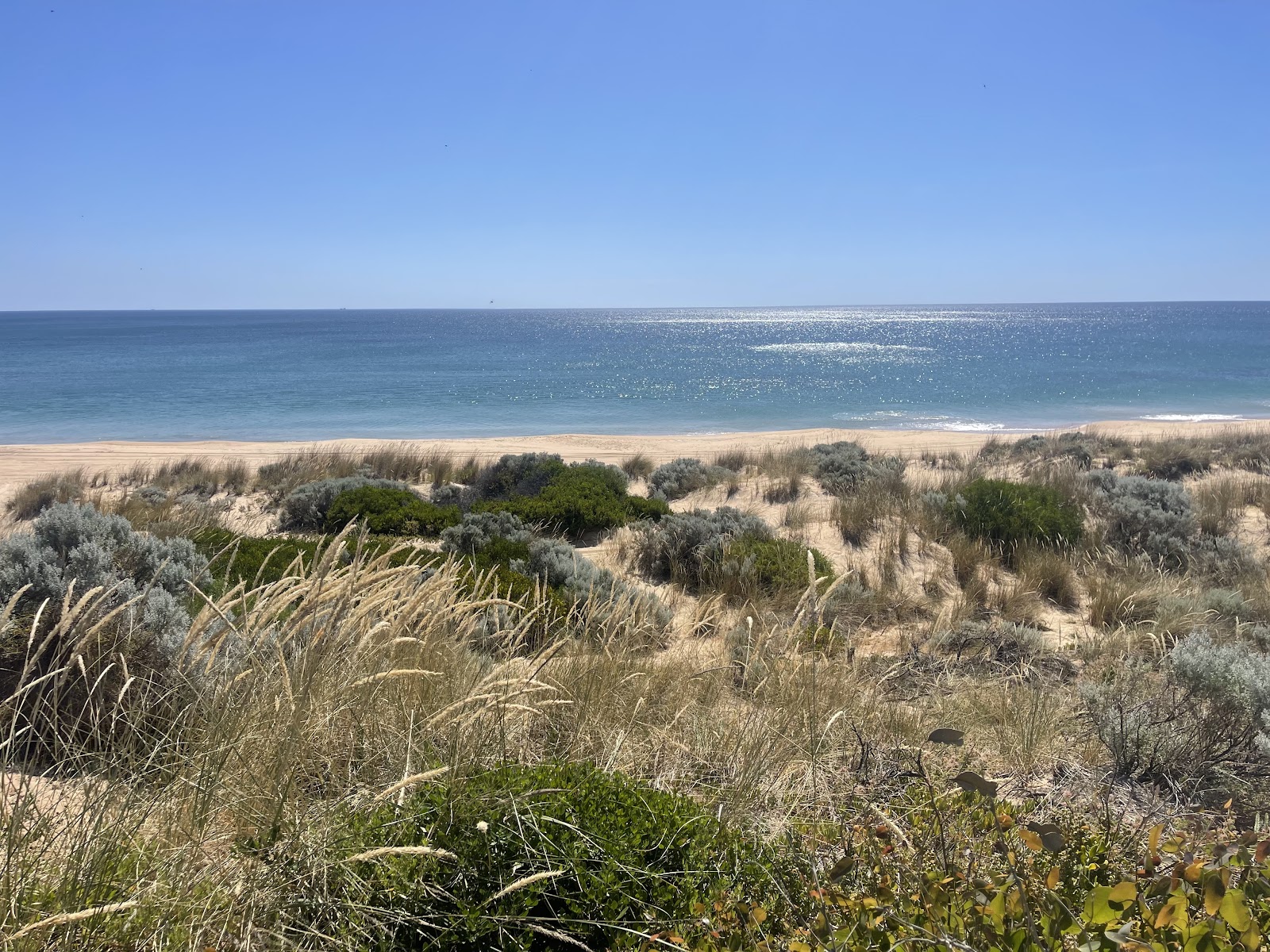 Leschenault Peninsula Conservation Park (2026) – Best of TikTok ...