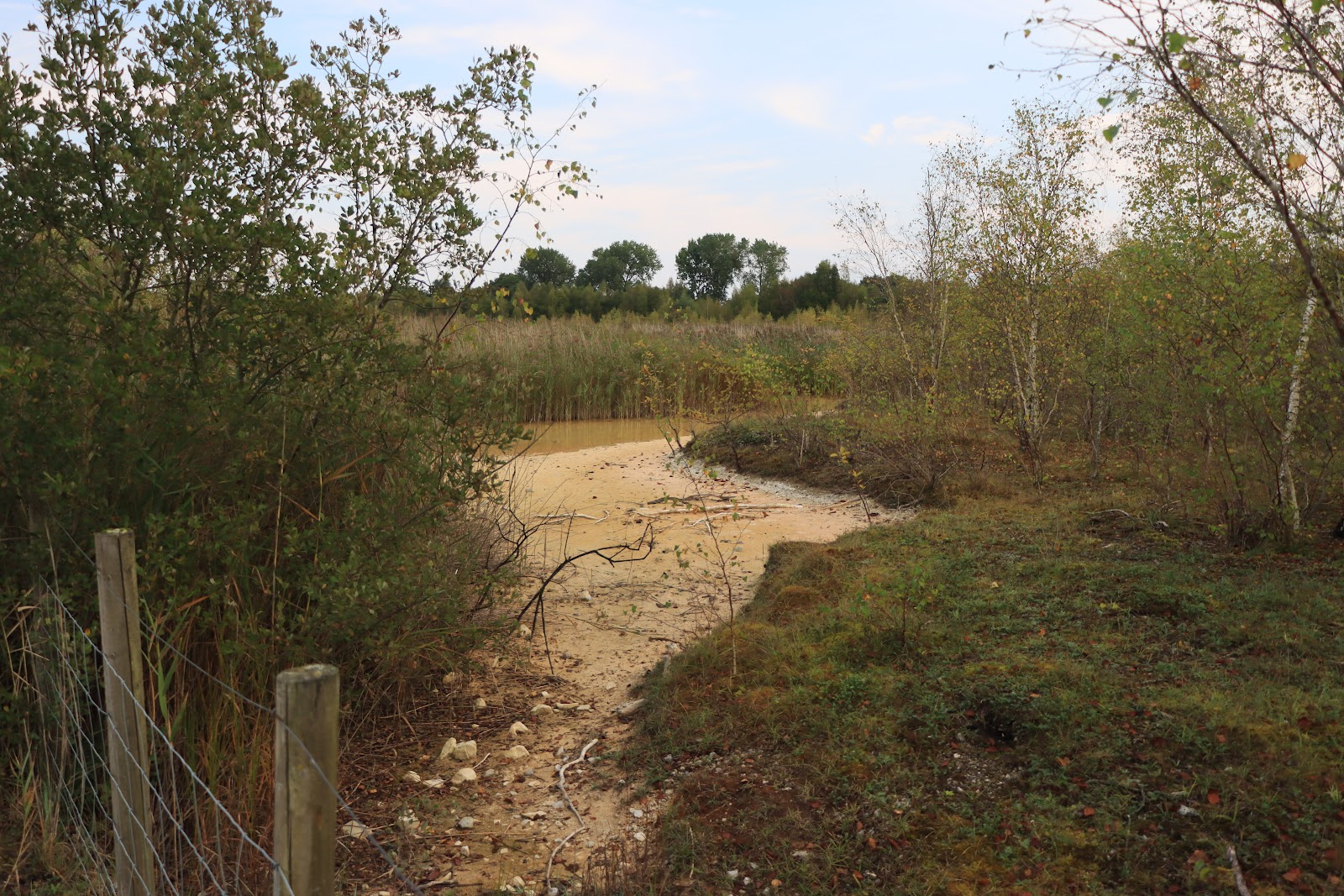 Rudheath Lime Beds Nature Reserve (2026) – Best of TikTok, Instagram ...