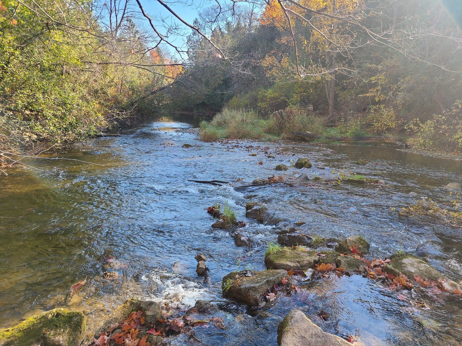 Apps Mill Nature Centre (2026) – Best of TikTok, Instagram & Reddit ...