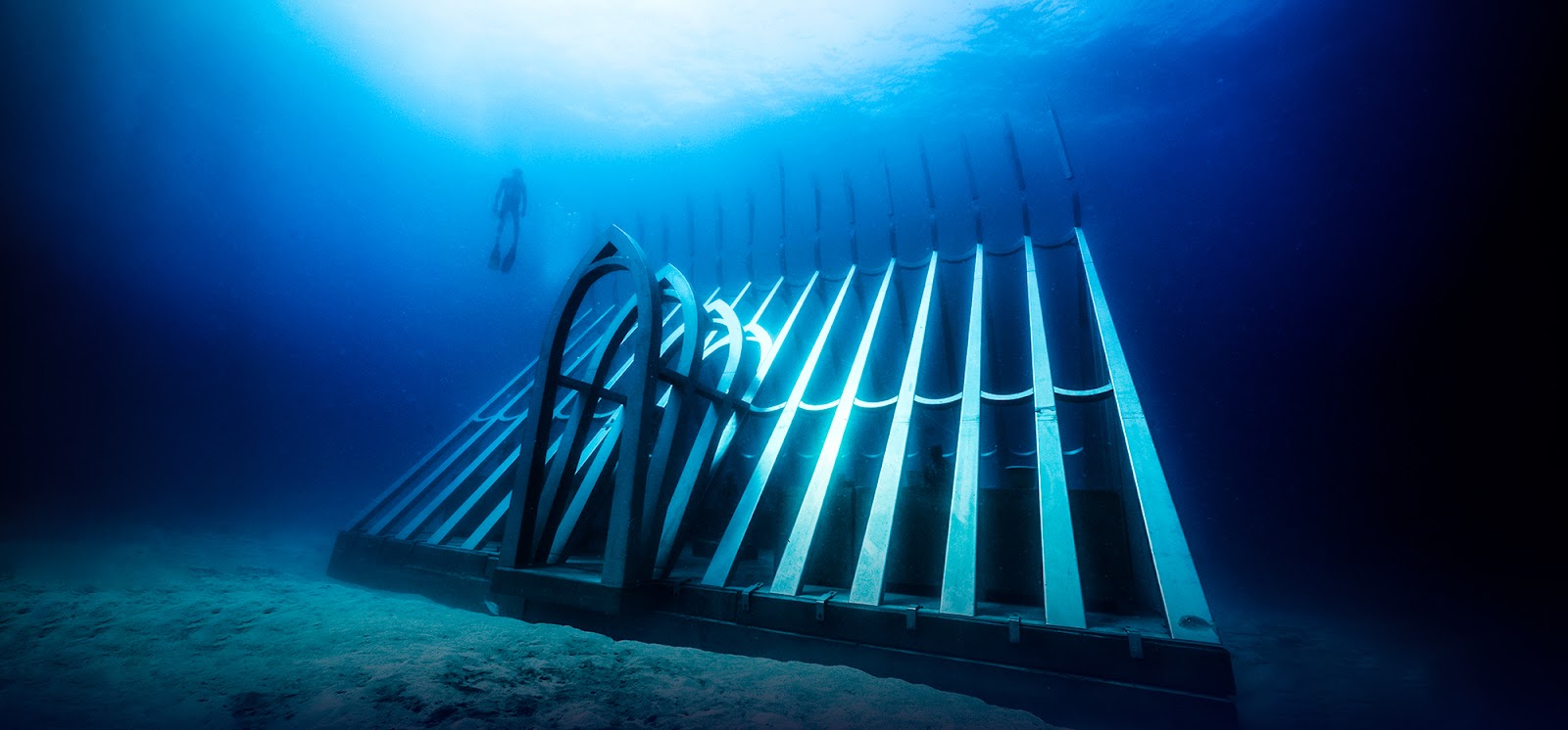 MOUA Coral Greenhouse (2026) – Best of TikTok, Instagram & Reddit ...