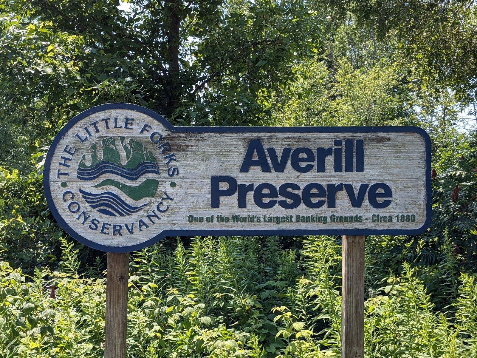 Averill Preserve (2026) – Best of TikTok, Instagram & Reddit Travel Guide