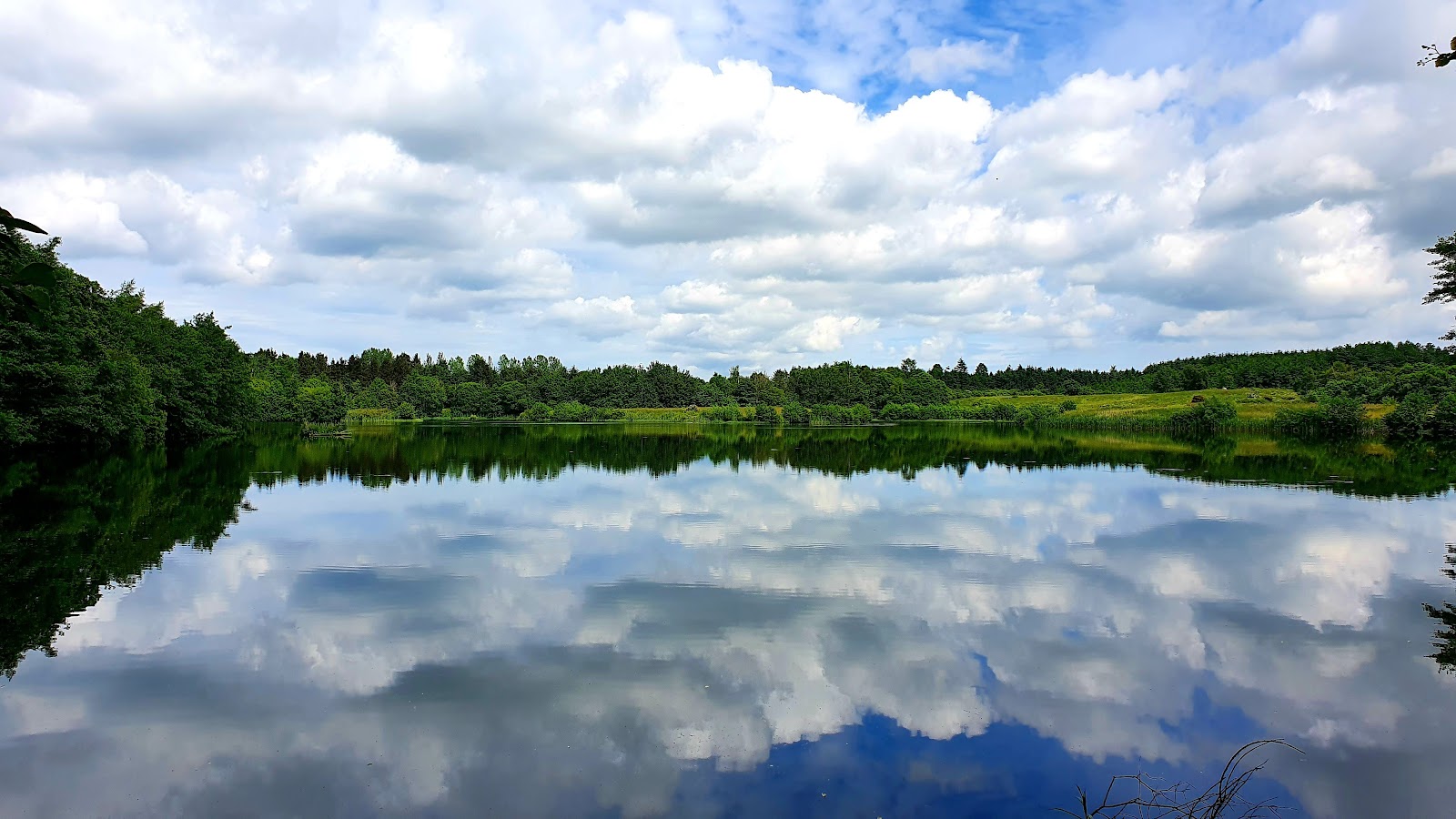 Birnie and Gaddon Lochs Nature Reserve (2026) – Best of TikTok ...