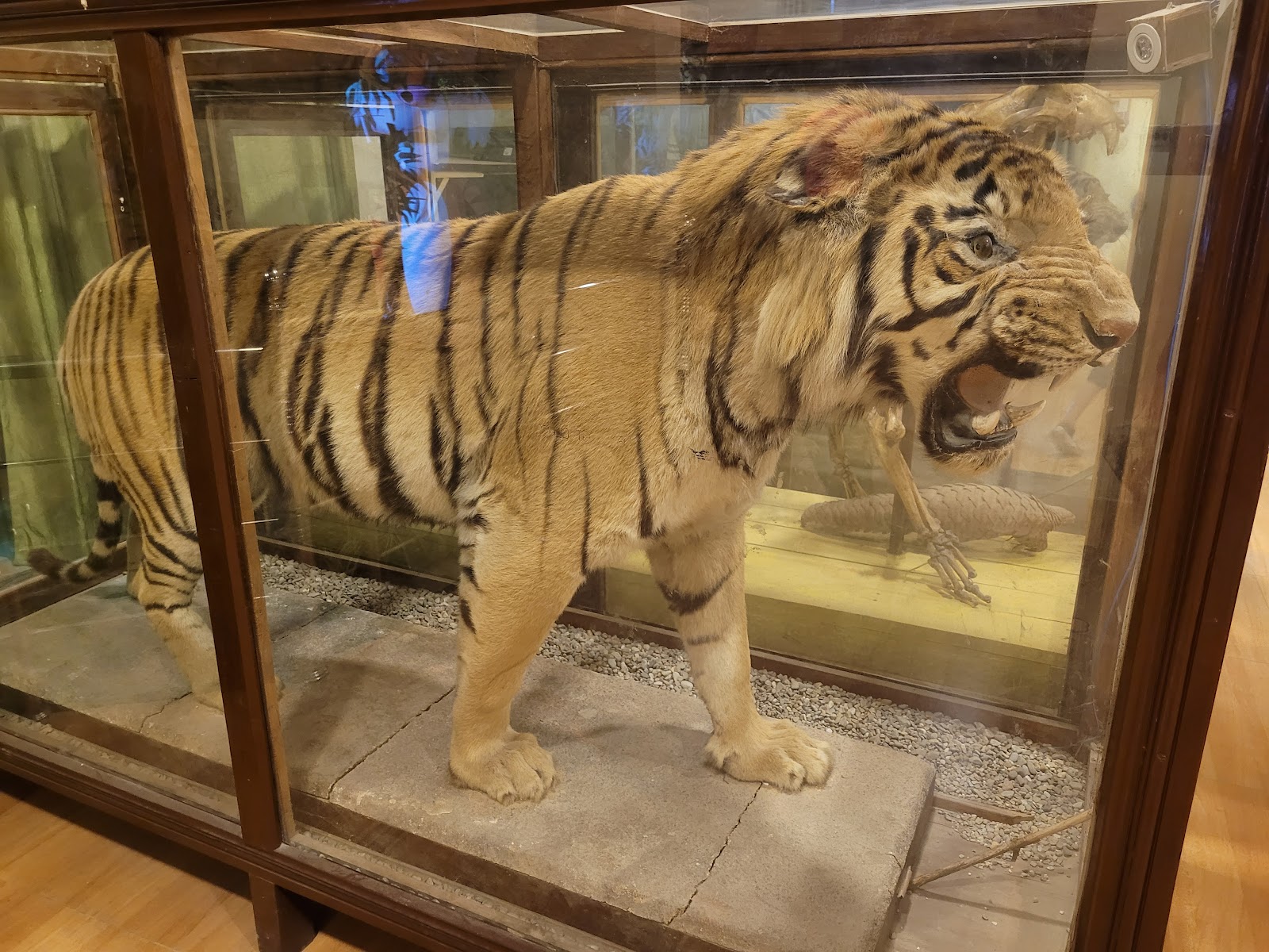 Dhikala Zone Jim Corbett National Park (2026) – Best of TikTok ...