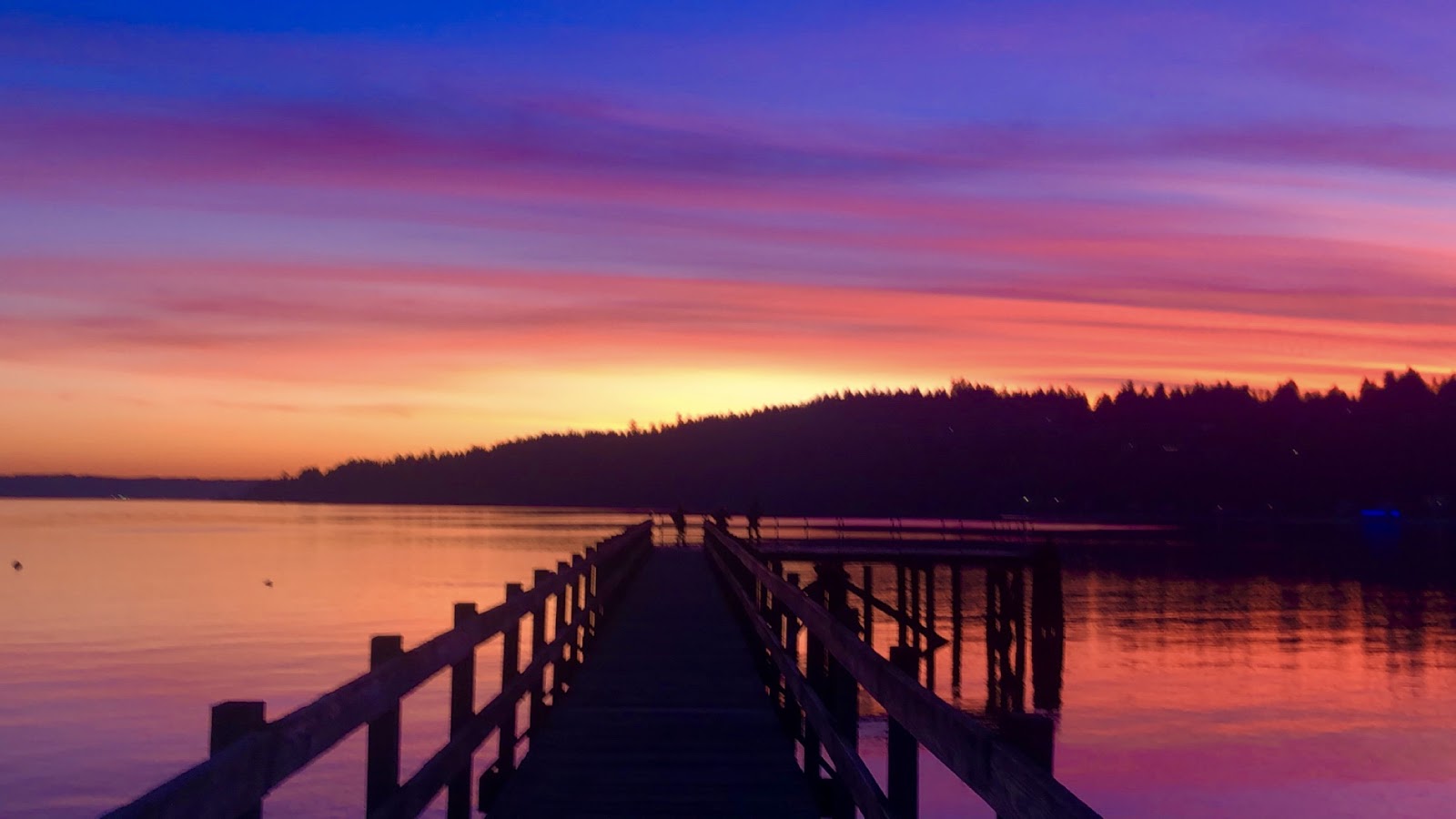 Point White Pier (2026) – Best of TikTok, Instagram & Reddit Travel Guide