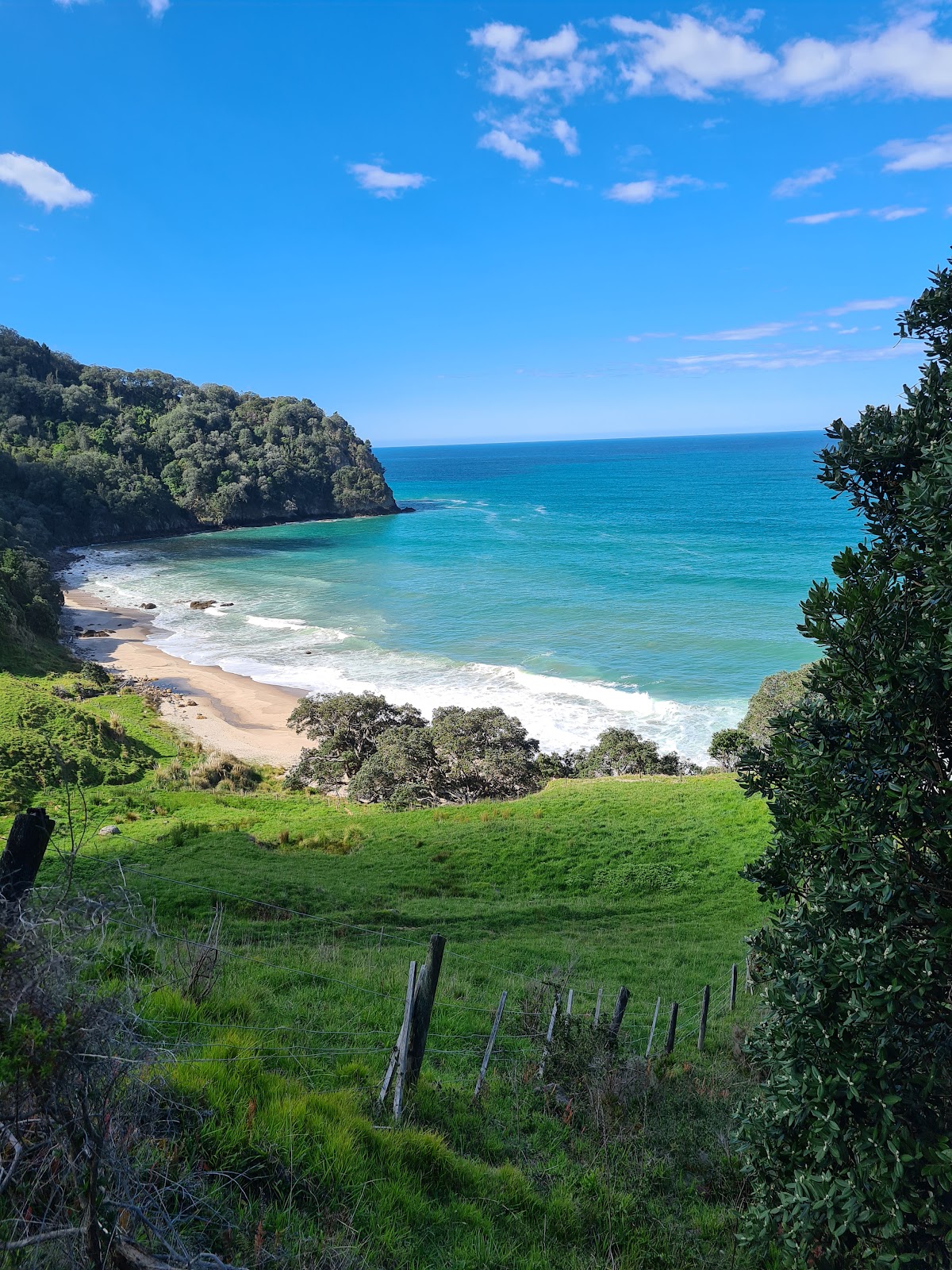Homunga Bay (2025) – Best of TikTok, Instagram & Reddit Travel Guide