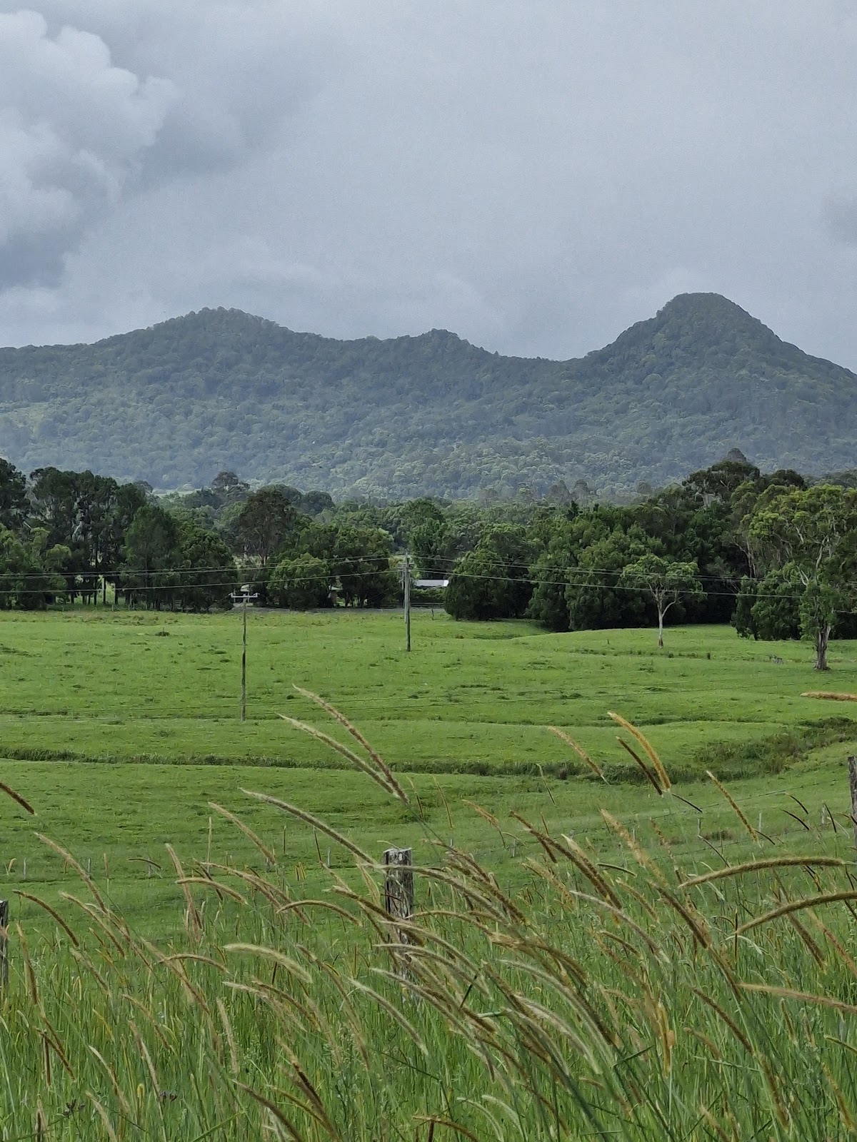 Mount Chincogan (2026) – Best of TikTok, Instagram & Reddit Travel Guide