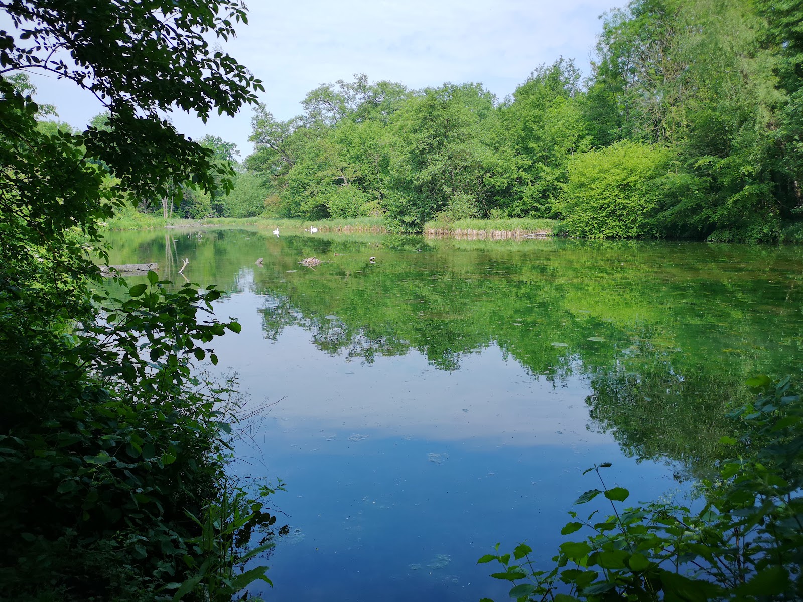 Digswell Lake Nature Reserve (2026) – Best of TikTok, Instagram ...