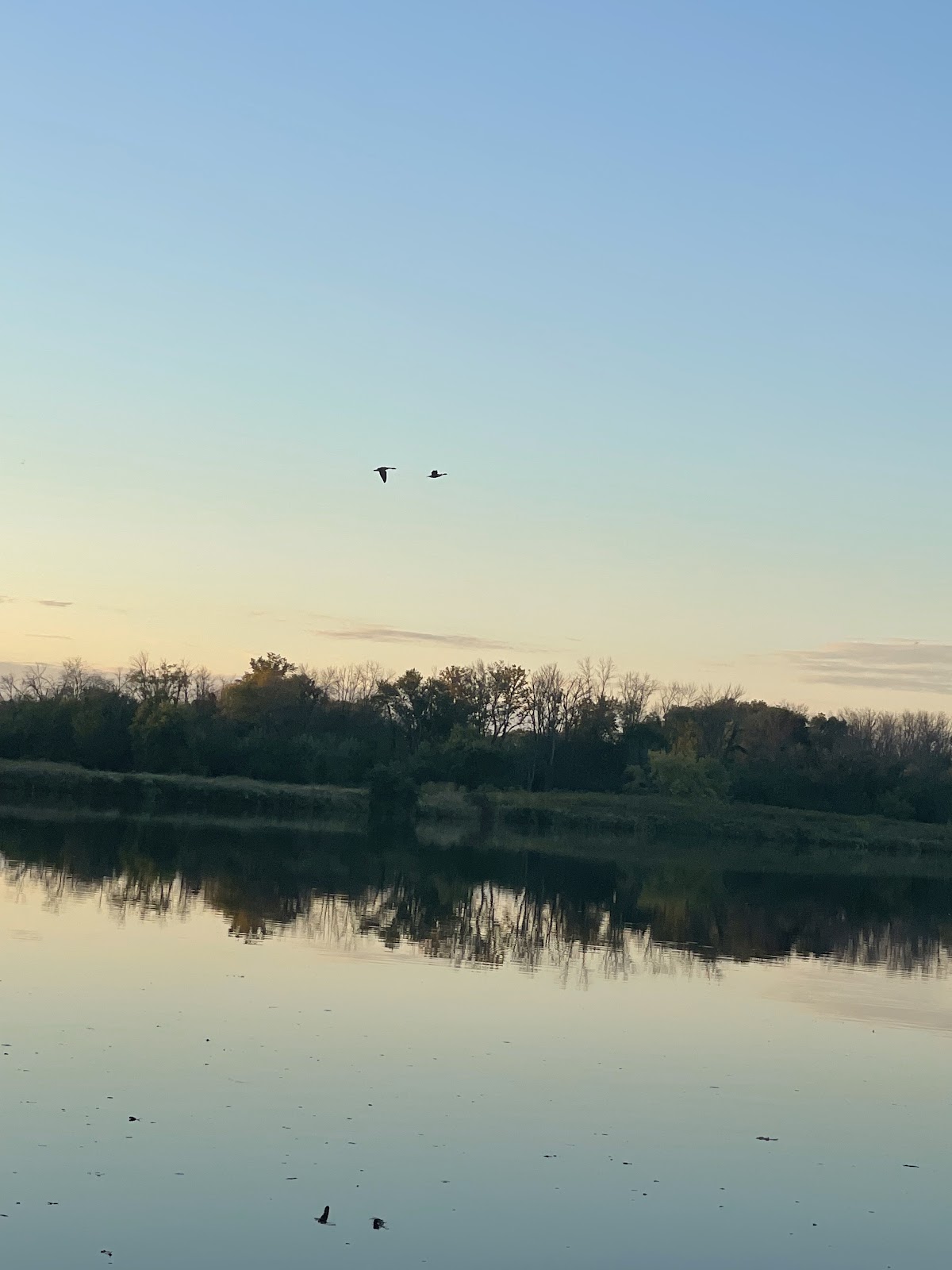 Lake Belle View Park (2026) – Best of TikTok, Instagram & Reddit Travel ...