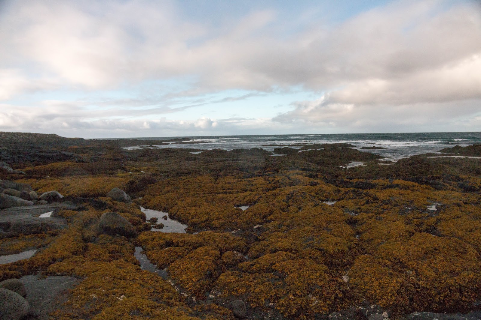 Hafnir Village Iceland (2026) – Best of TikTok, Instagram & Reddit ...