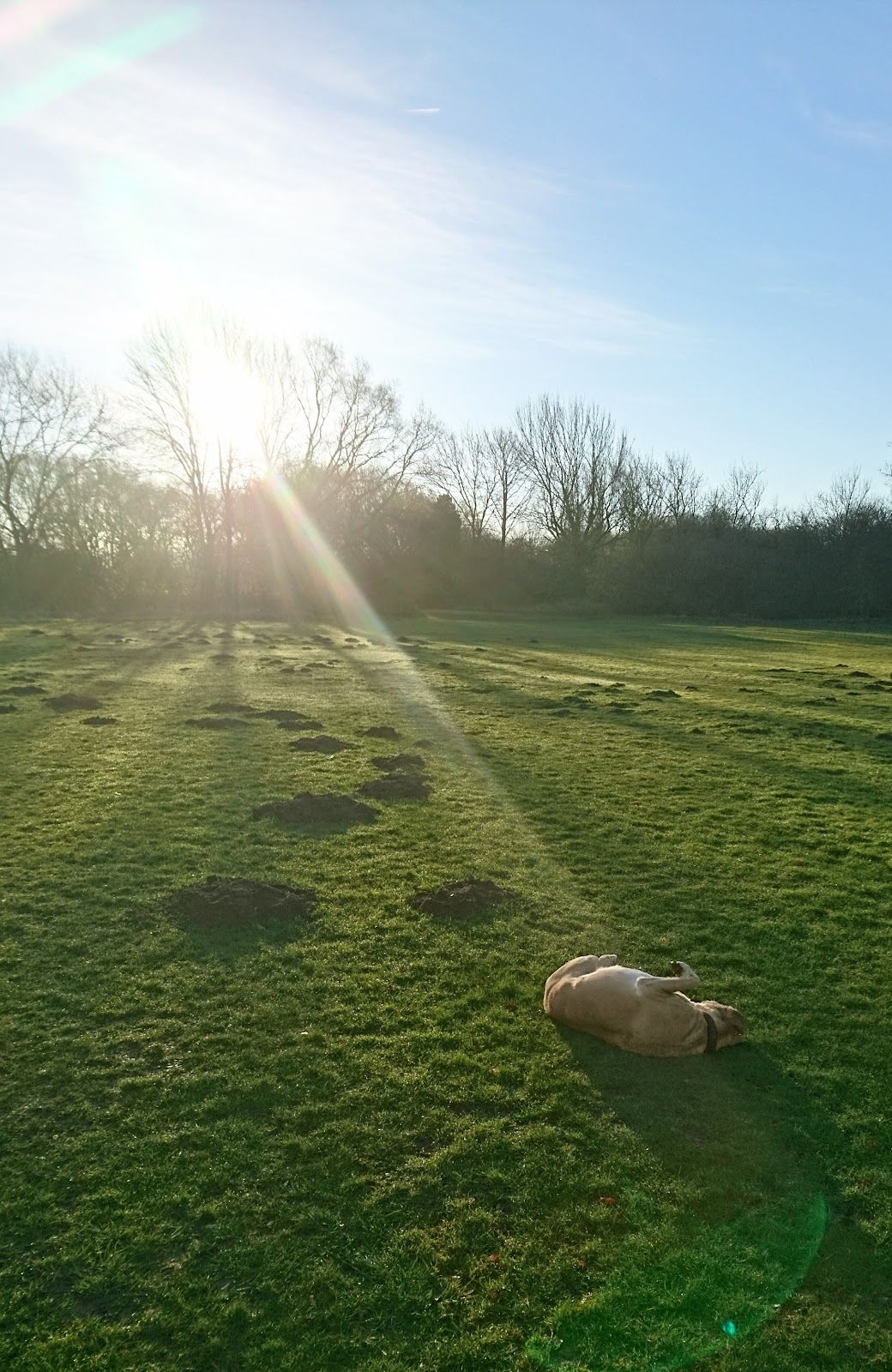 Neatherd Moor (2026) – Best of TikTok, Instagram & Reddit Travel Guide