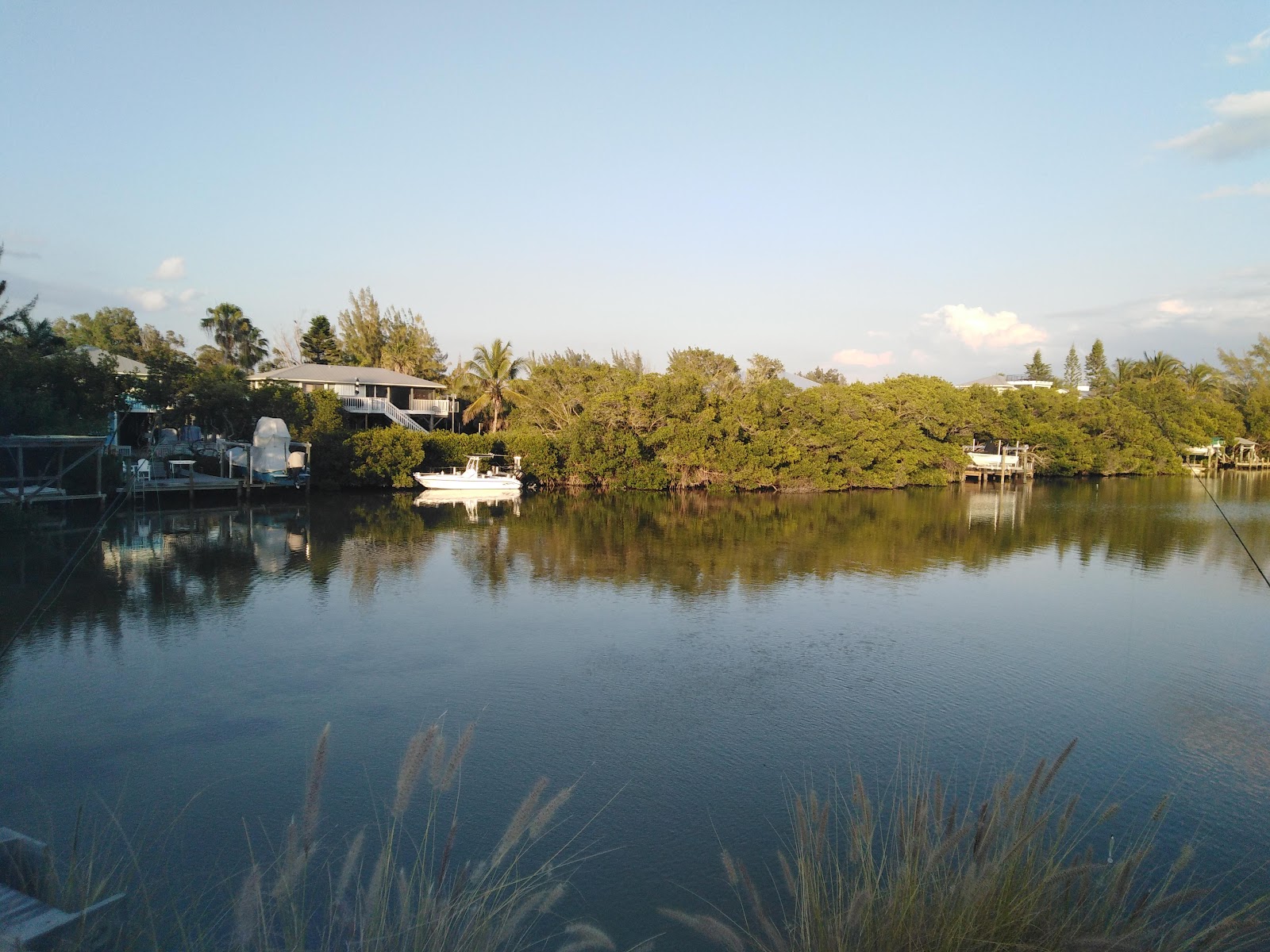 Lemon Bay Aquatic Preserve (2025) – Best of TikTok, Instagram & Reddit ...