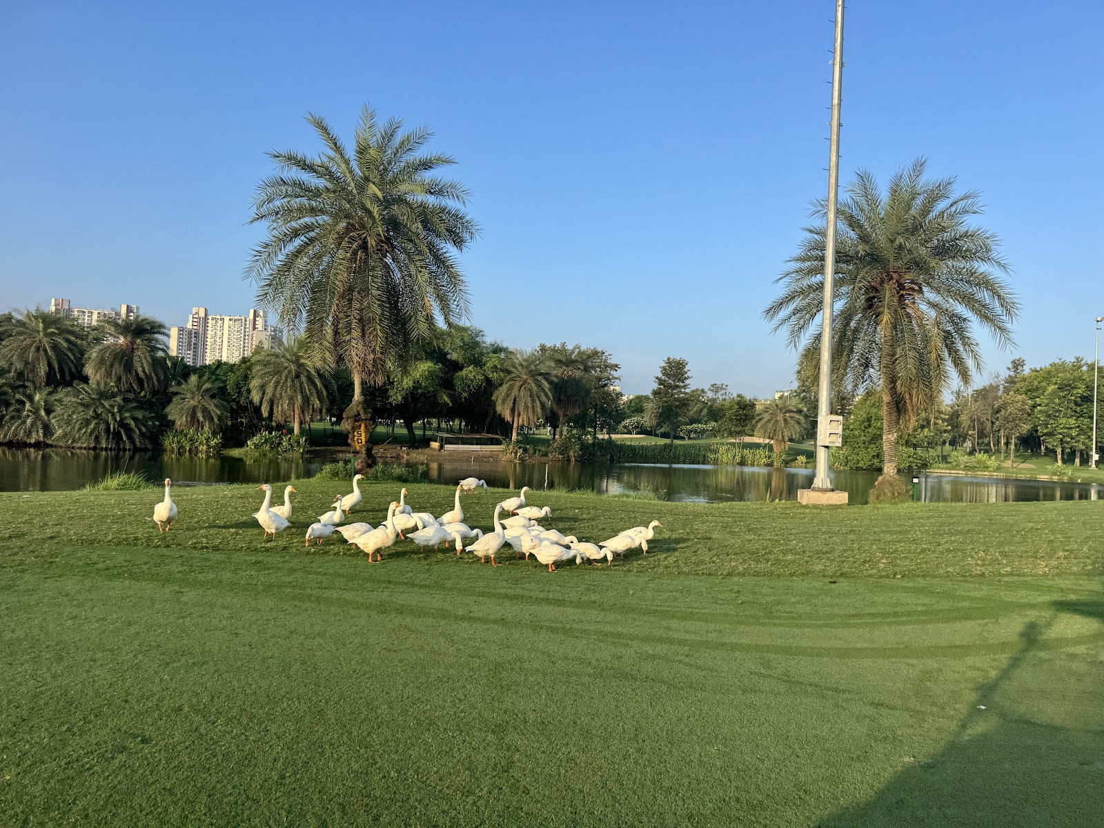 Jaypee Greens Golf Course (2026) – Best of TikTok, Instagram & Reddit ...