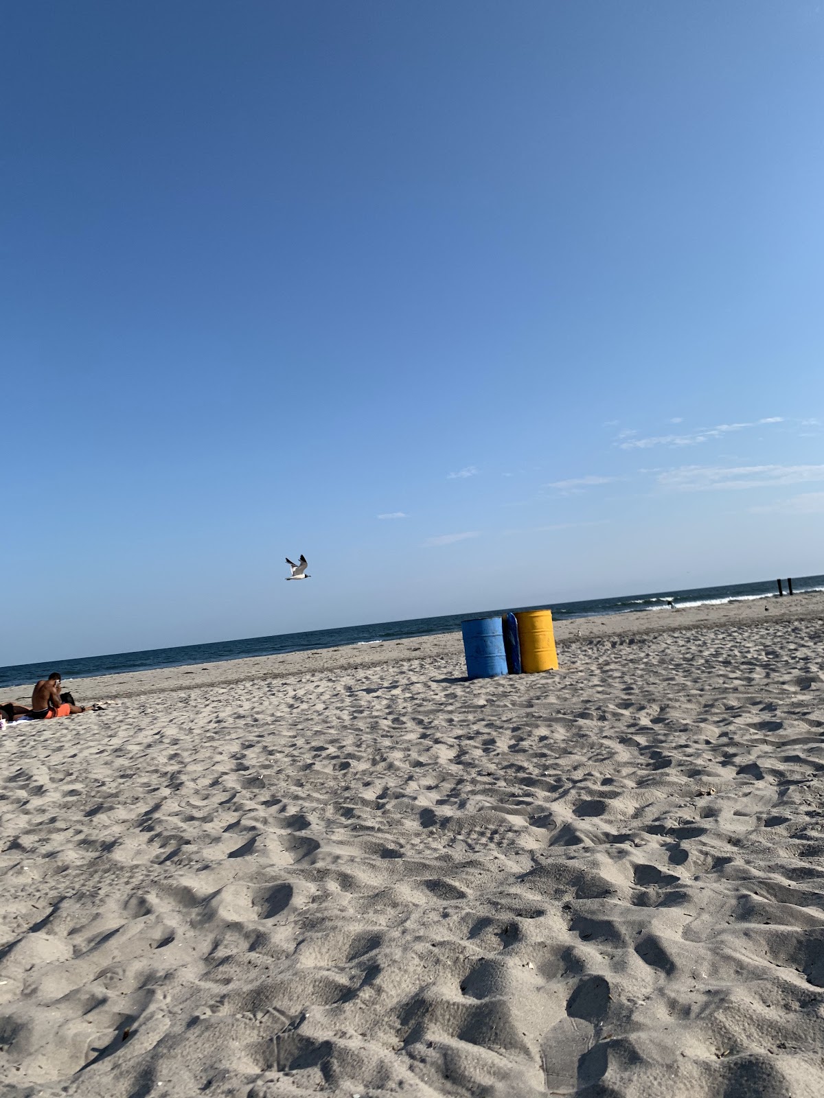 Chicken Bone Beach (2026) – Best of TikTok, Instagram & Reddit Travel Guide