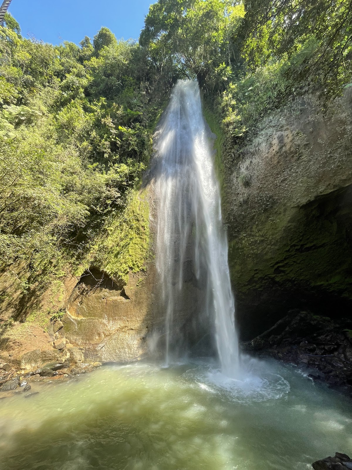 Las Musas Waterfalls Grecia Costa Rica (2026) – Best of TikTok ...
