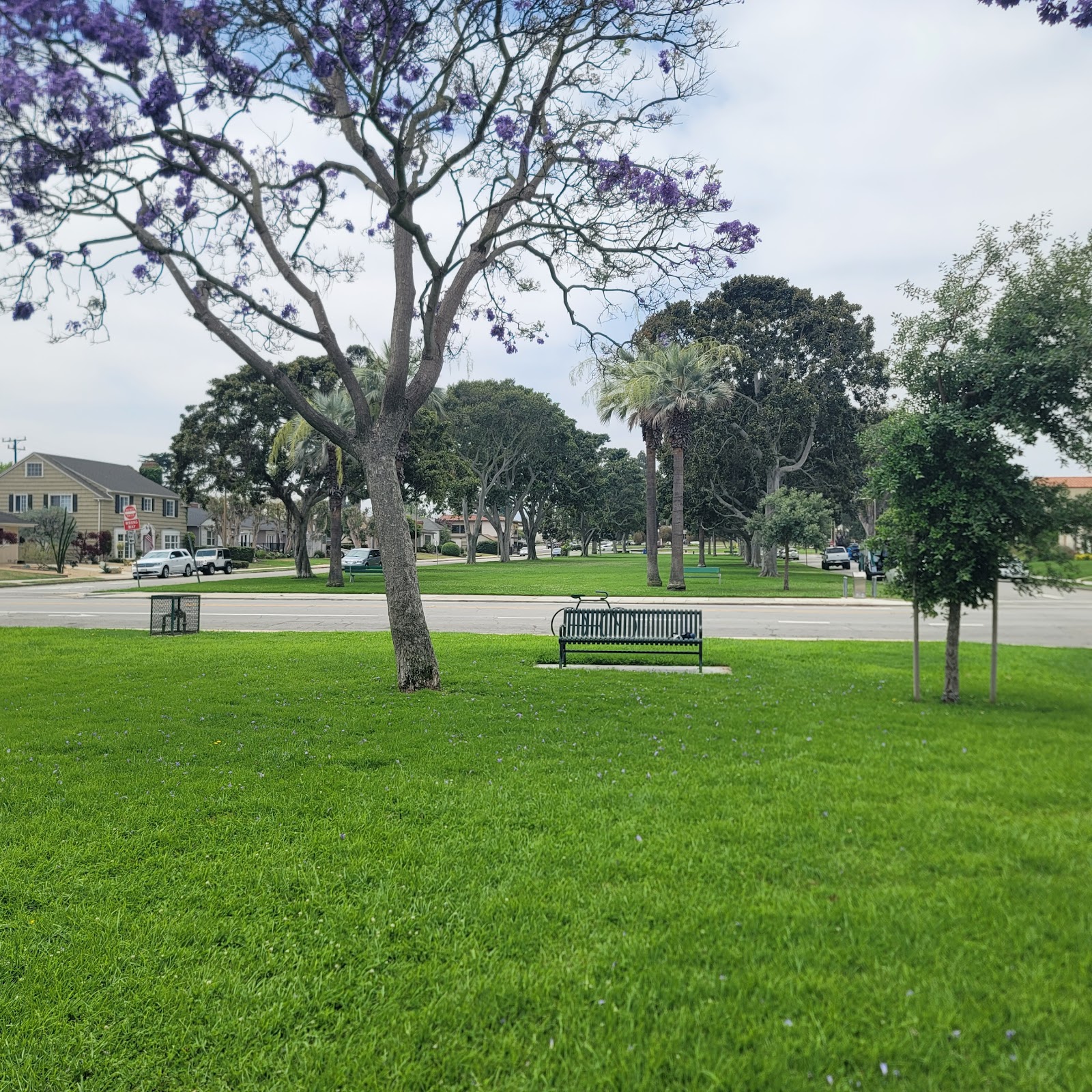 El Prado Park (2026) – Best of TikTok, Instagram & Reddit Travel Guide