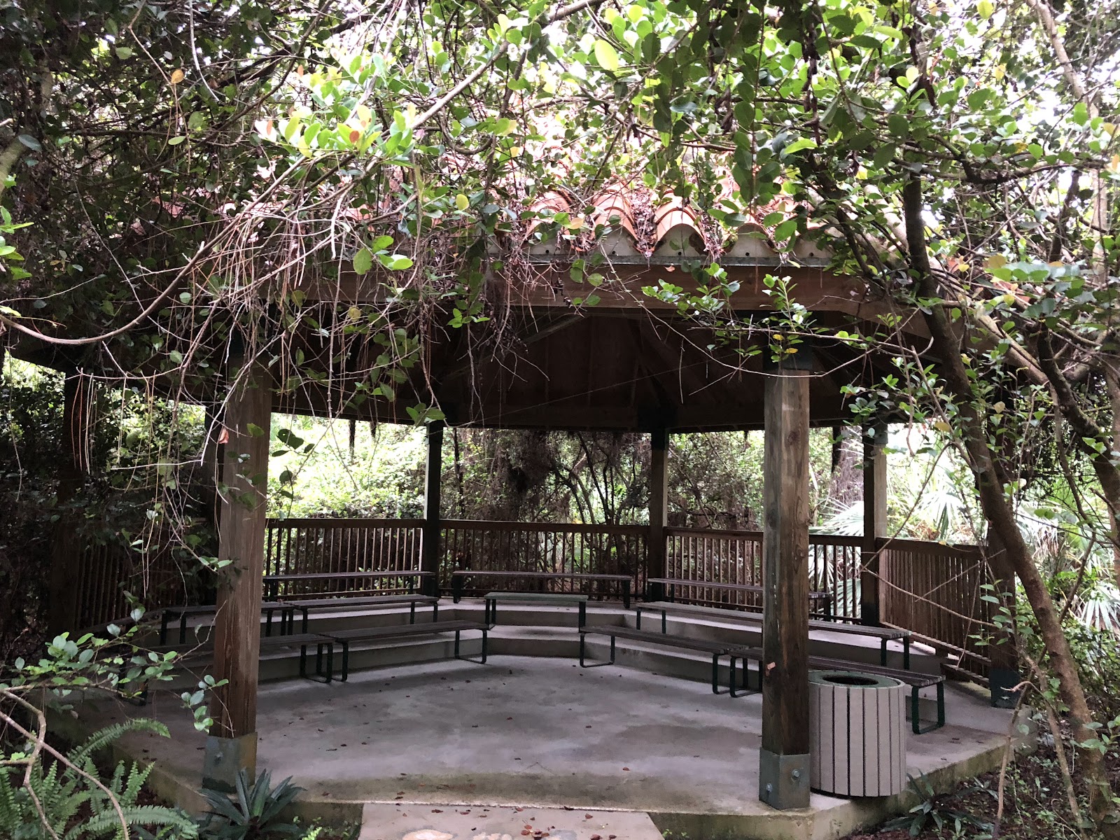Doris Davis Forman Wilderness Preserve (2025) – Best of TikTok ...