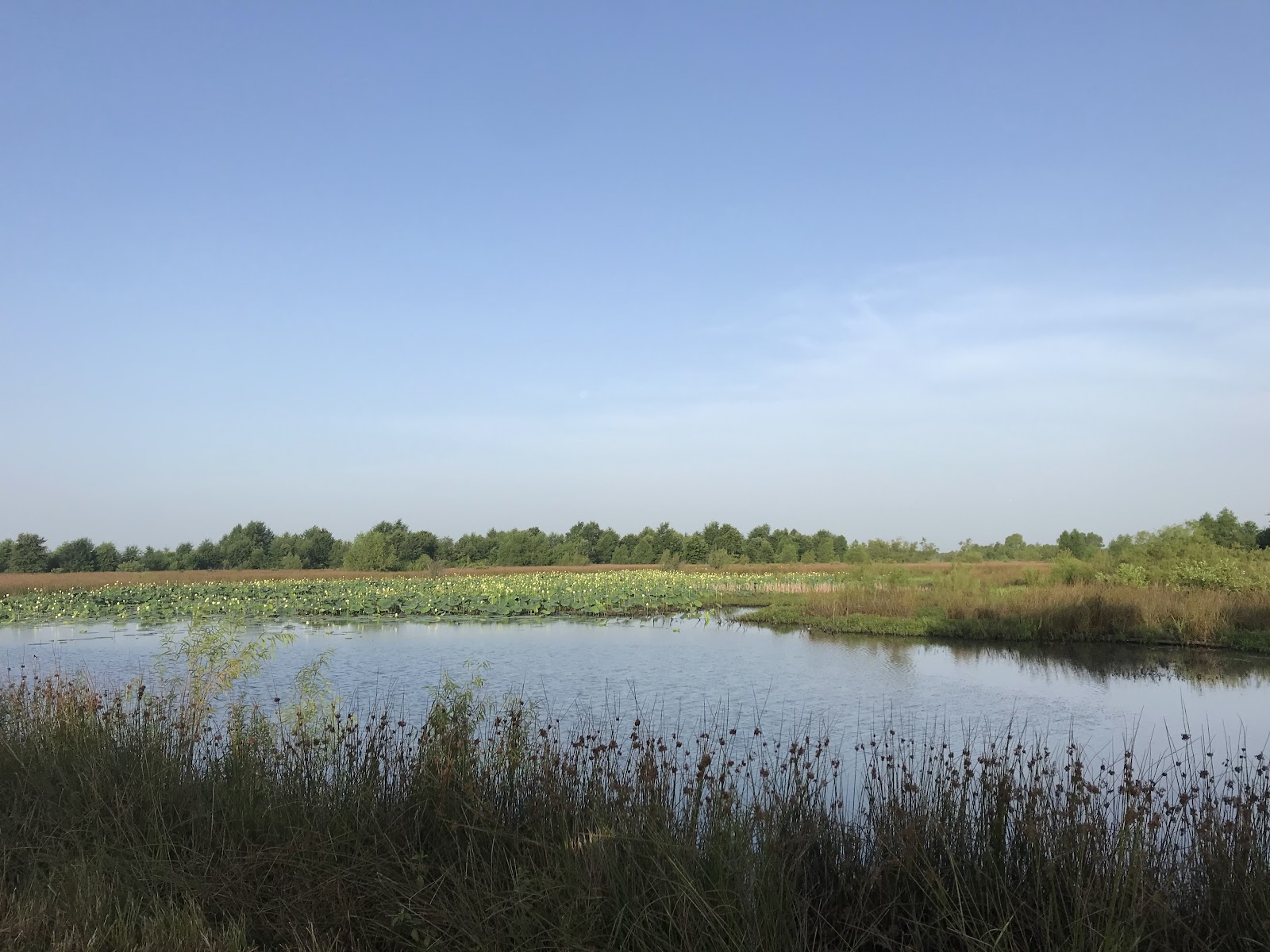 Red Slough Wildlife Management Area (2026) – Best of TikTok, Instagram ...