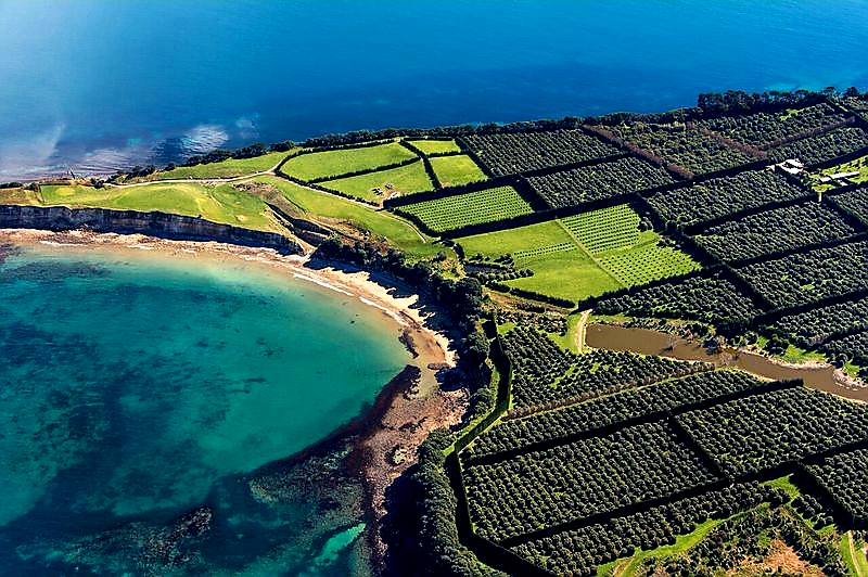Motiti Island (2026) – Best of TikTok, Instagram & Reddit Travel Guide