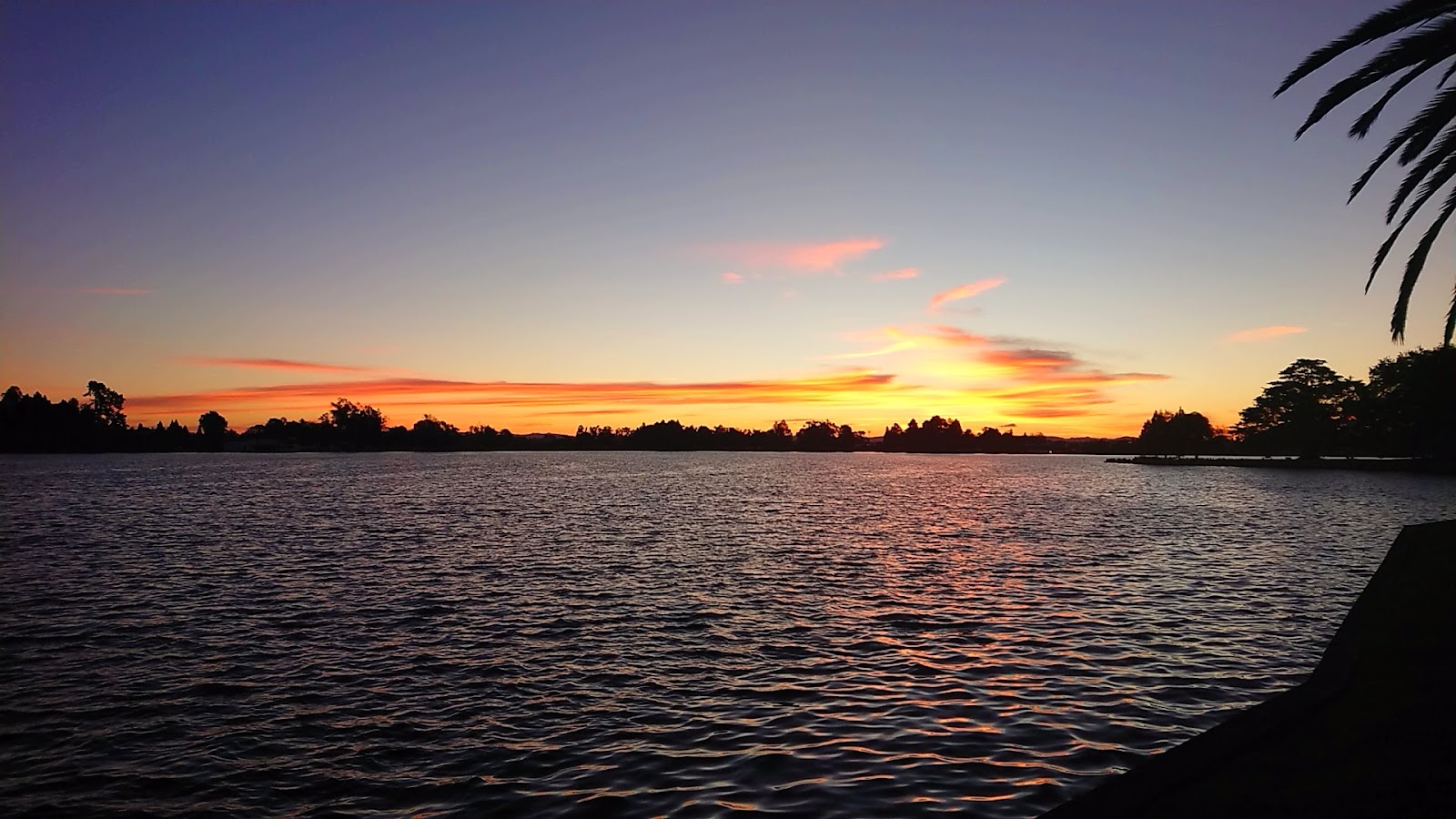 Hamilton Lake Domain Hamilton (2026) – Best of TikTok, Instagram ...