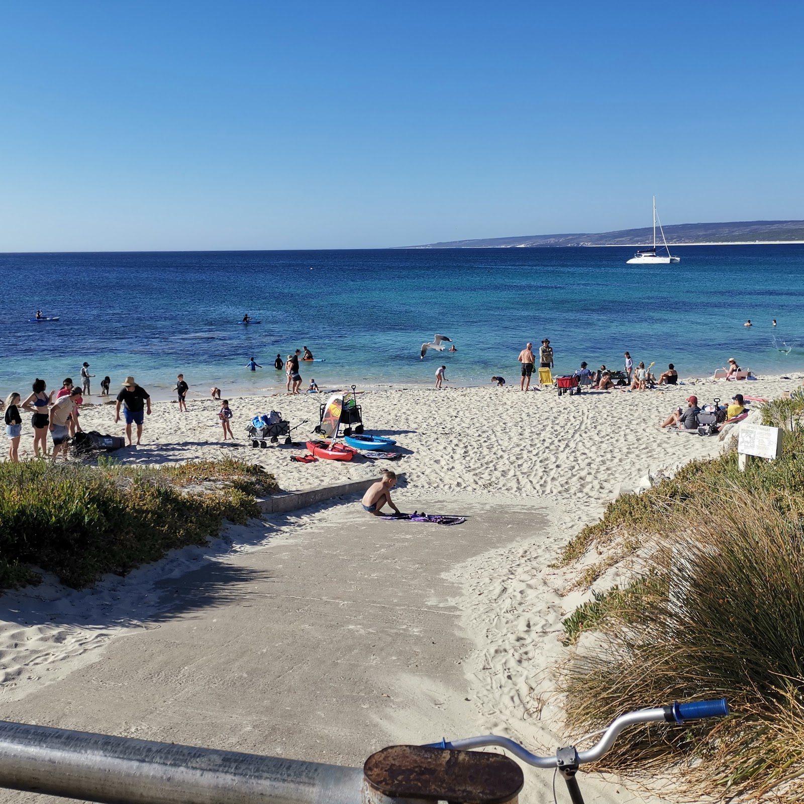 Hamelin Bay (2026) – Best of TikTok, Instagram & Reddit Travel Guide