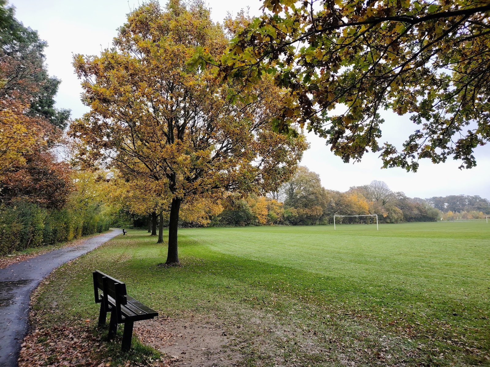 Highfield Park (2026) – Best of TikTok, Instagram & Reddit Travel Guide