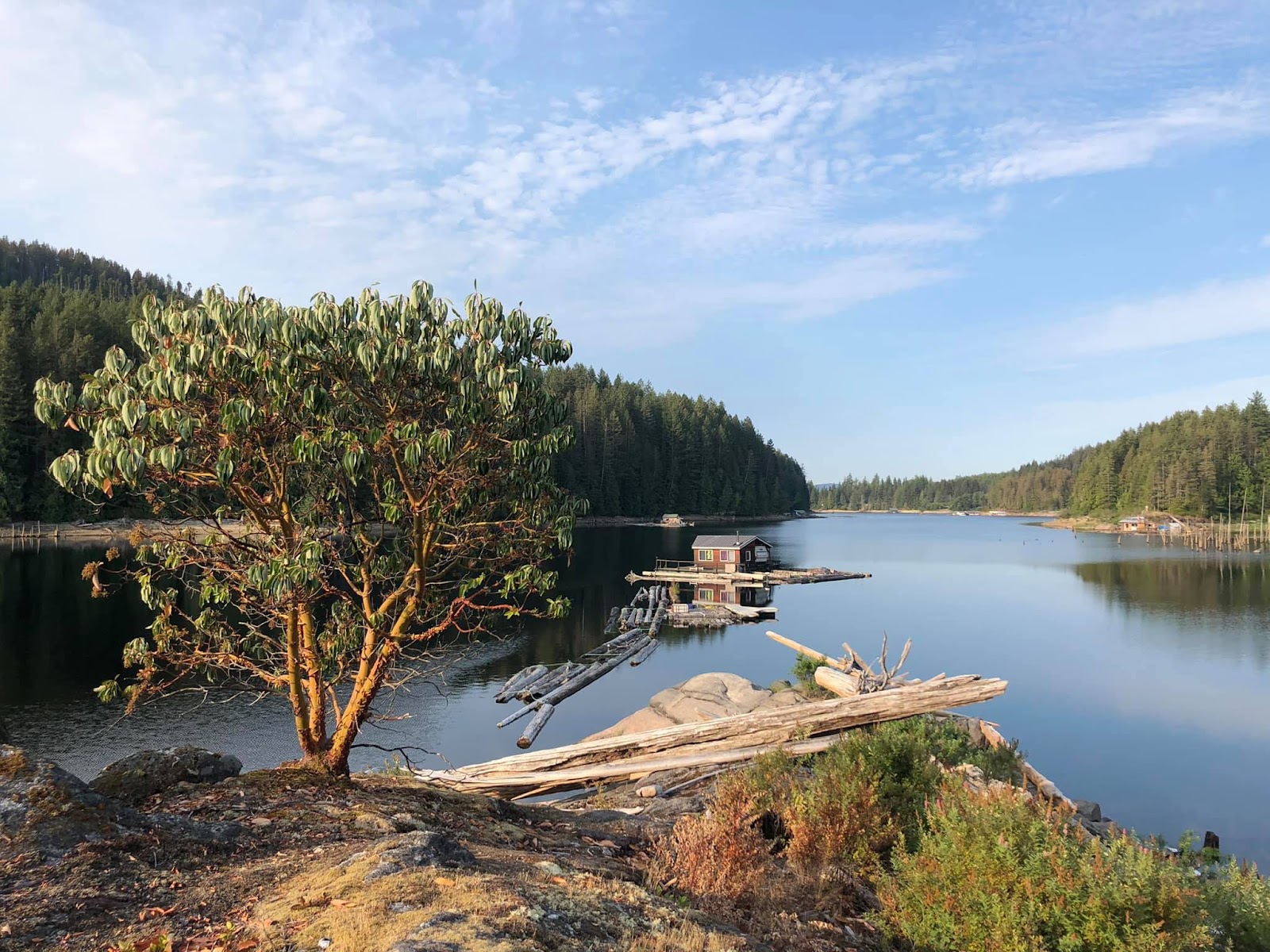 Lois Lake (2026) – Best of TikTok, Instagram & Reddit Travel Guide