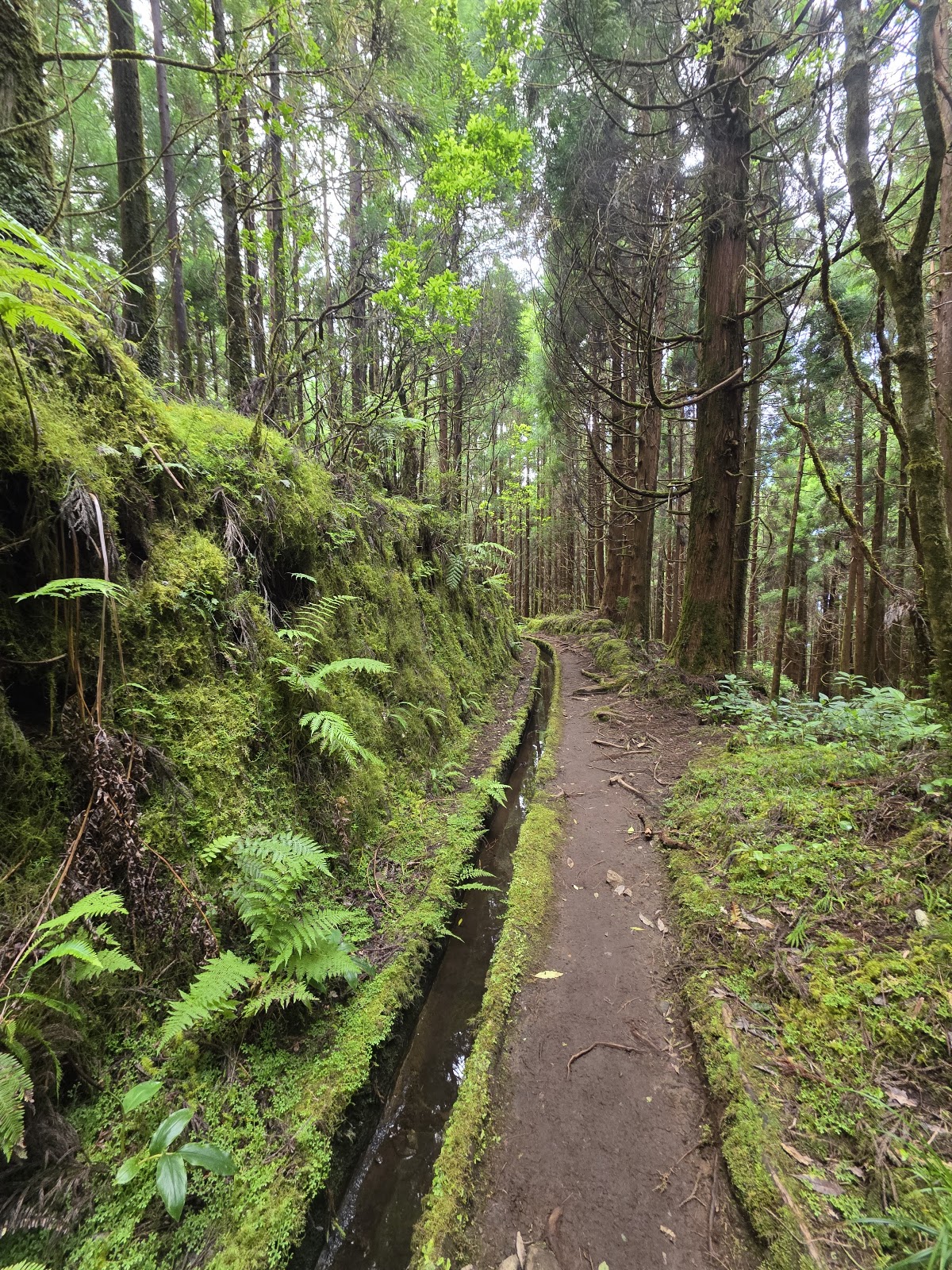 Horta Coastal Trail Faial Azores (2026) – Best of TikTok, Instagram ...