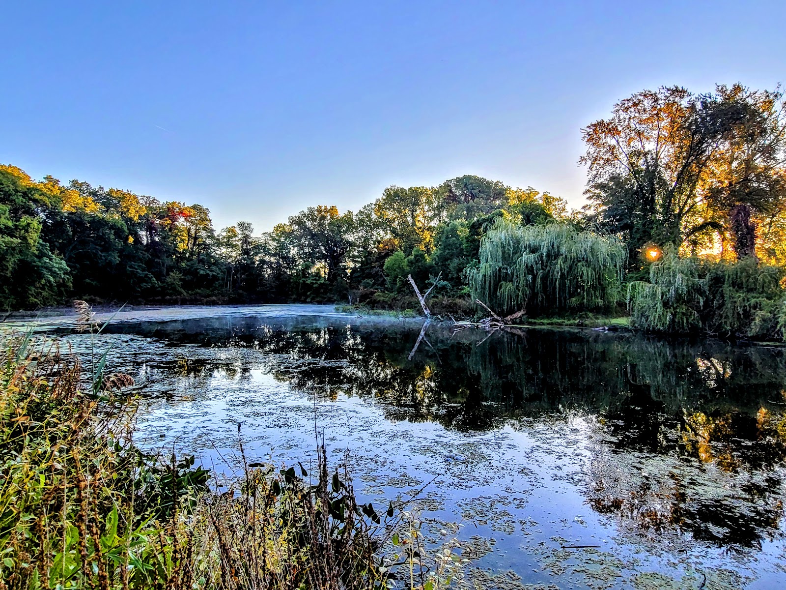 Hansen Park (2026) – Best of TikTok, Instagram & Reddit Travel Guide