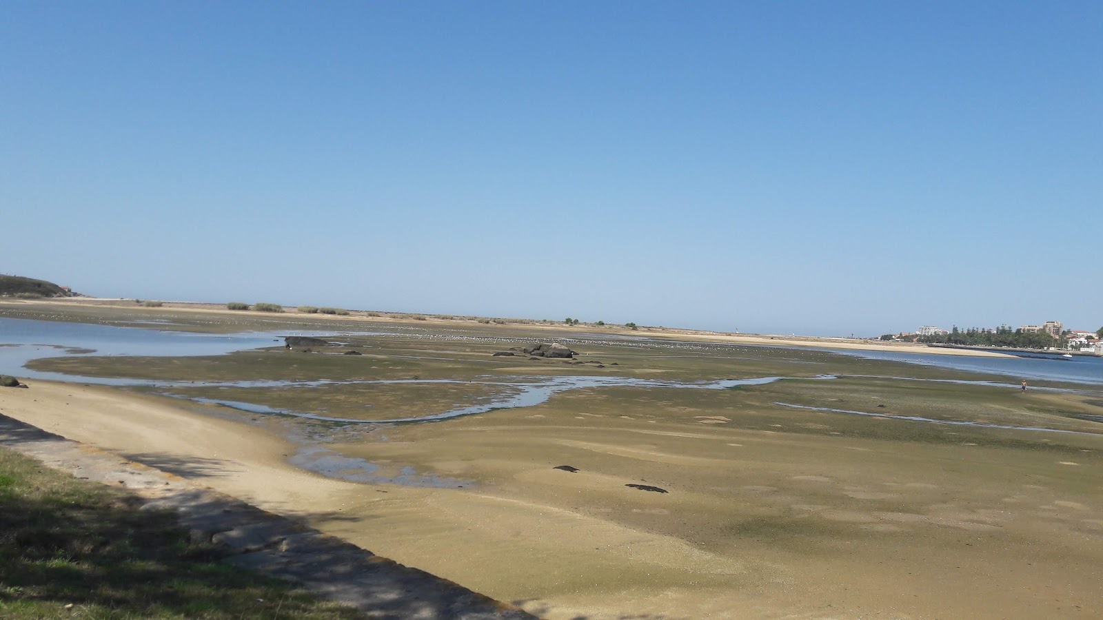 Douro Estuary Nature Reserve (2025) – Best of TikTok, Instagram ...