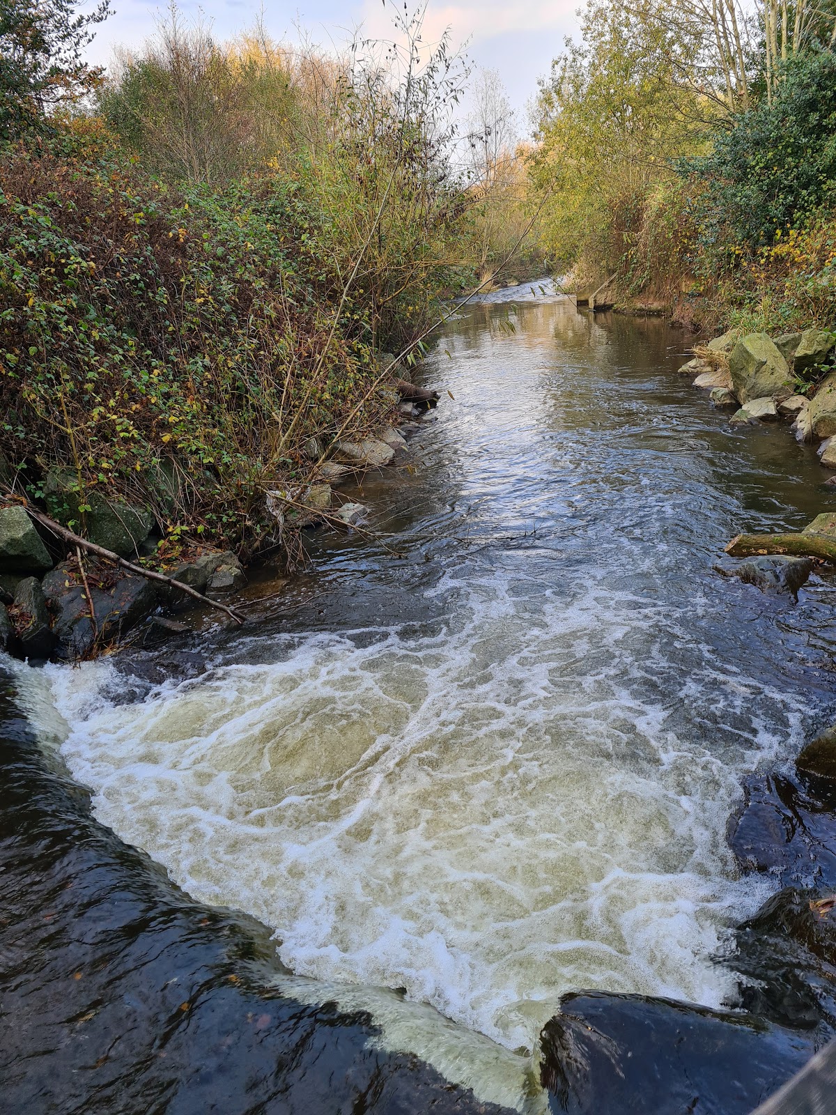 Rea Brook Valley Nature Reserve (2026) – Best of TikTok, Instagram ...