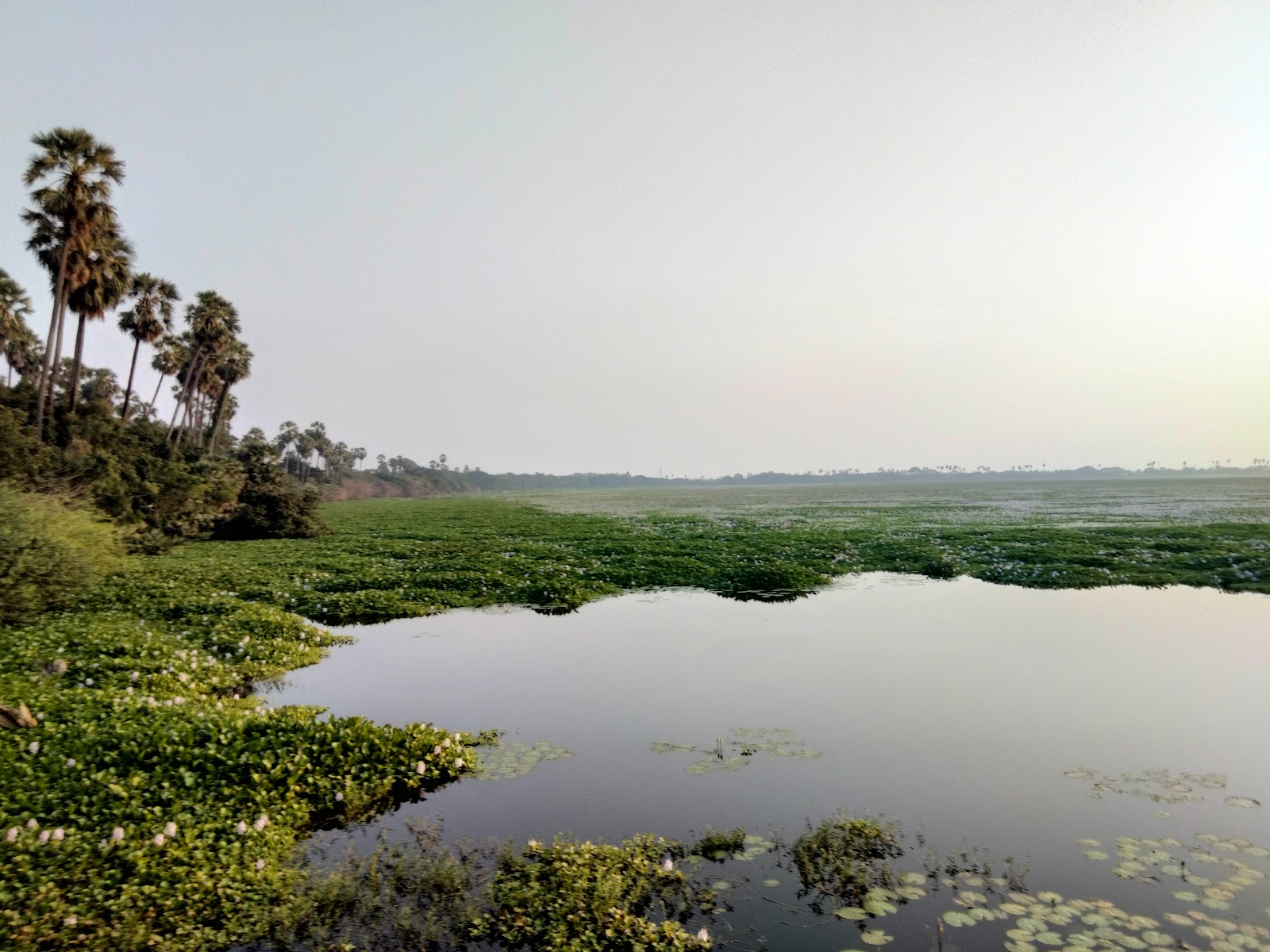 Bahour Lake (2025) – Best of TikTok, Instagram & Reddit Travel Guide