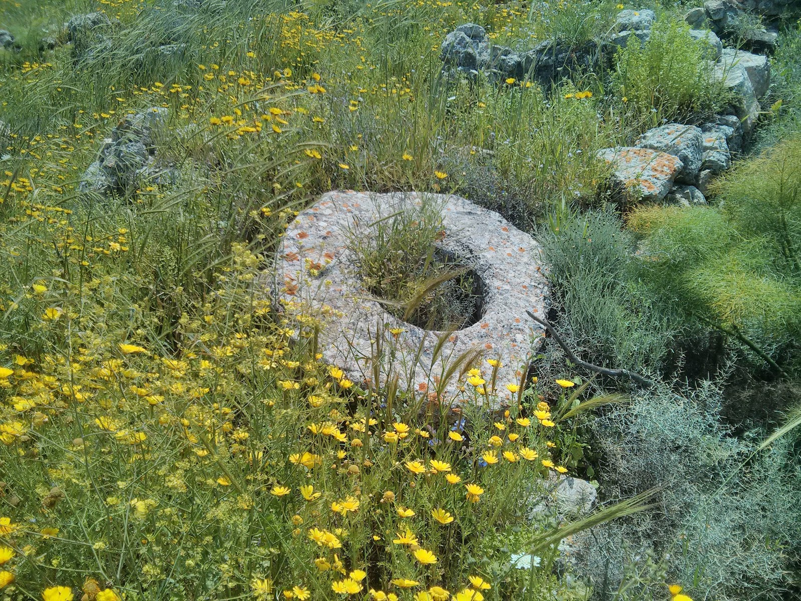 Enkomi Alasia Archaeological Site (2026) – Best of TikTok, Instagram ...