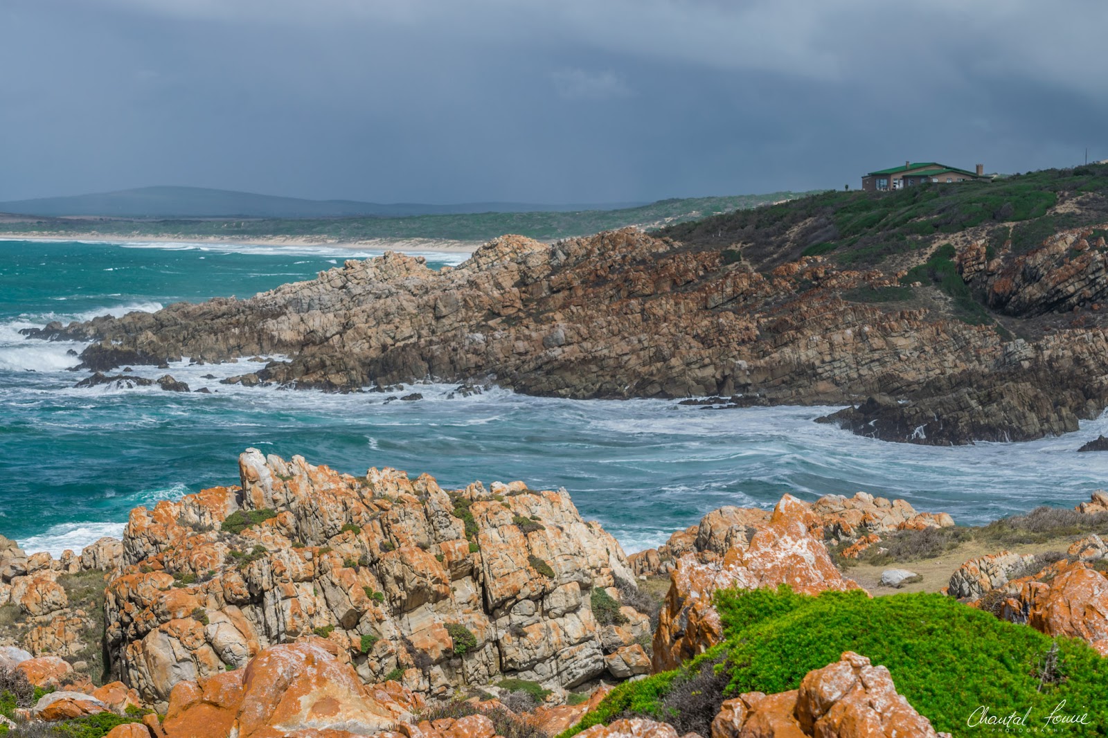 Vleesbaai South Africa (2026) – Best of TikTok, Instagram & Reddit ...