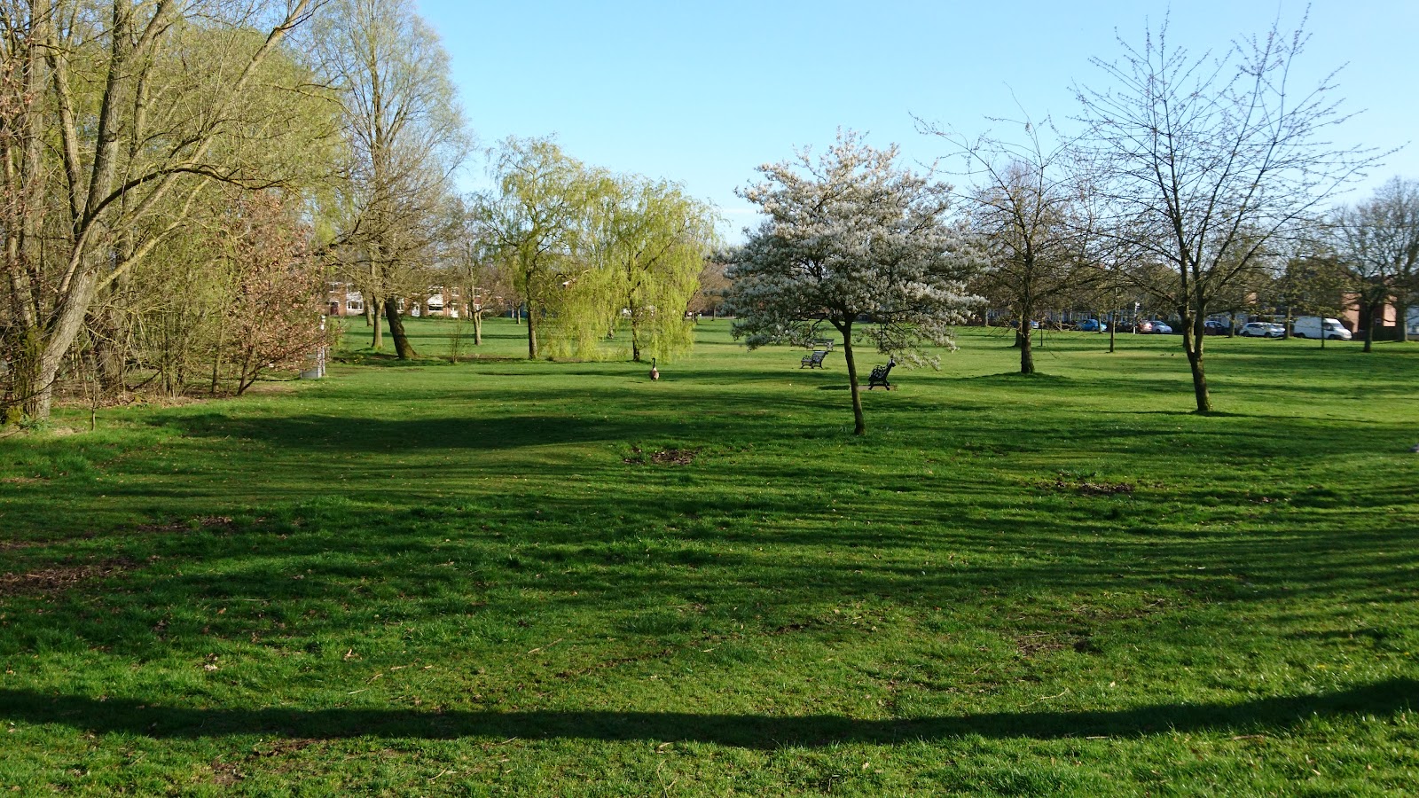 Pelsall Common (2026) – Best of TikTok, Instagram & Reddit Travel Guide