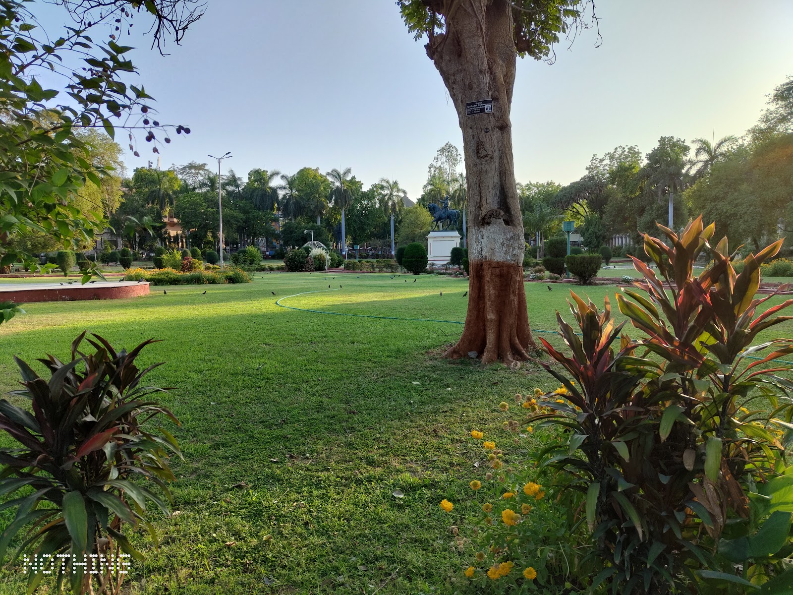 Sayaji Baug (Kamati Baug) (2026) – Best of TikTok, Instagram & Reddit ...