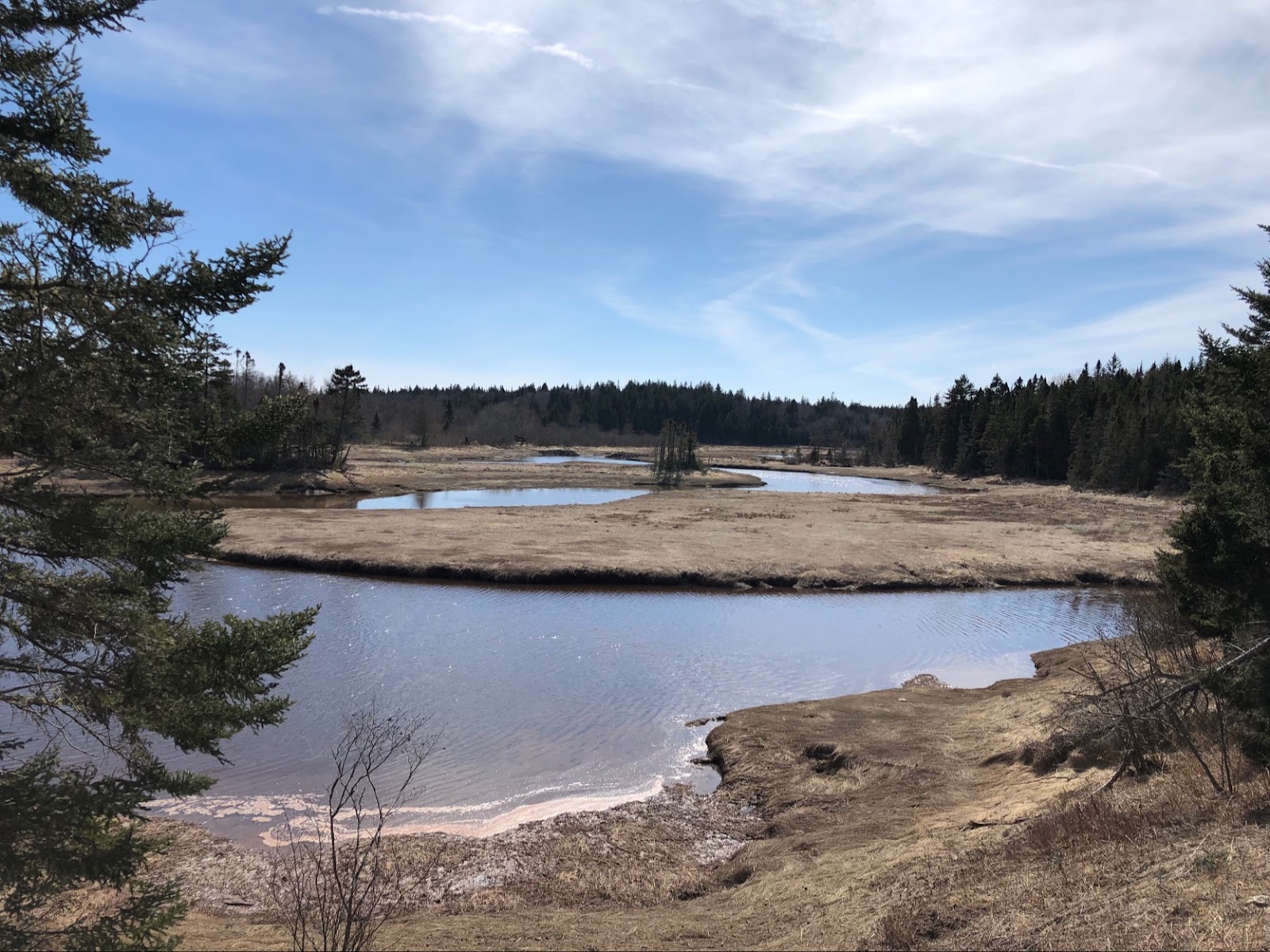 Musquash Estuary Nature Preserve (2026) – Best of TikTok, Instagram ...