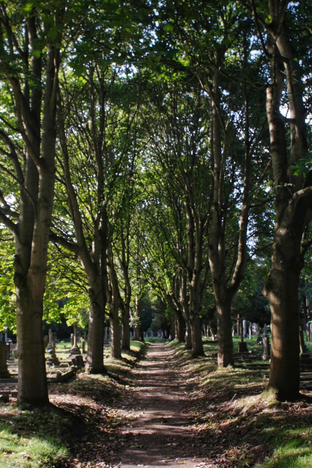 Retford Cemetery and Chapel (2026) – Best of TikTok, Instagram & Reddit ...