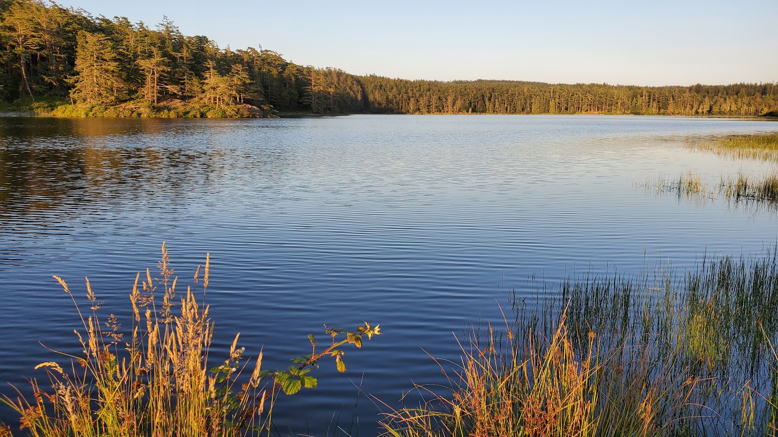 Cranberry Lake (2026) – Best of TikTok, Instagram & Reddit Travel Guide
