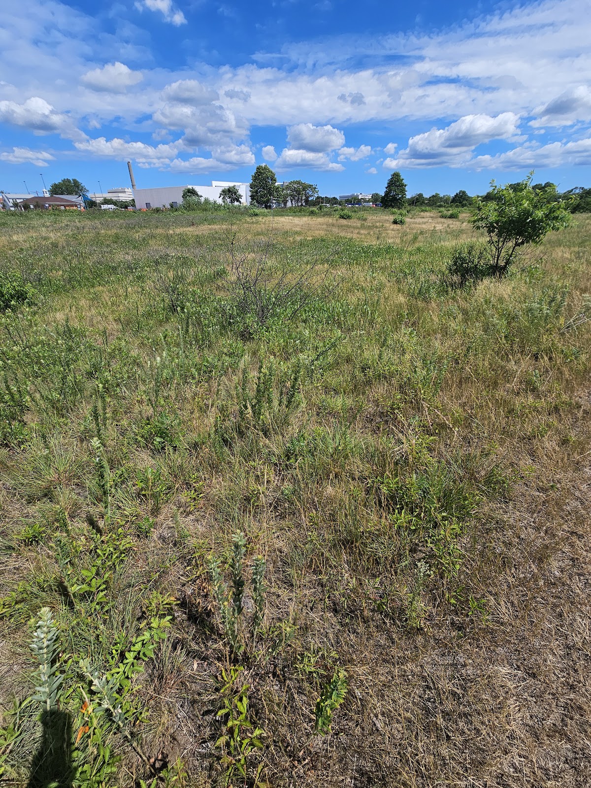 Hempstead Plains Preserve (2026) – Best of TikTok, Instagram & Reddit ...