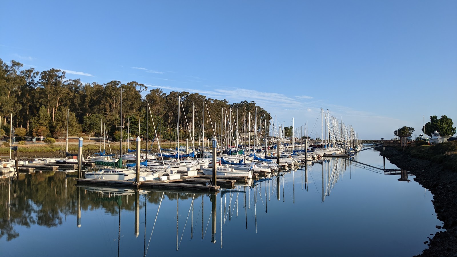 Coyote Point Marina (2026) – Best of TikTok, Instagram & Reddit Travel ...