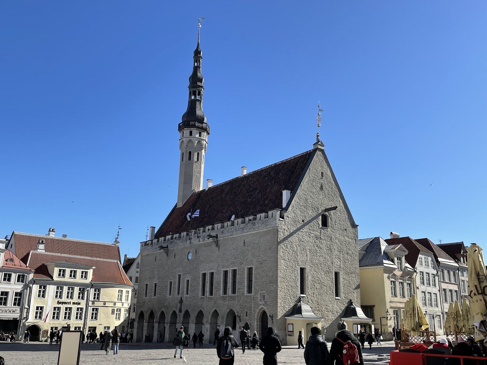 Tallinn Town Hall (2026) – Best of TikTok, Instagram & Reddit Travel Guide