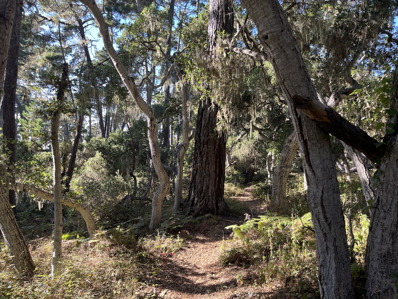 Rip Van Winkle Open Space (2025) – Best of TikTok, Instagram & Reddit ...