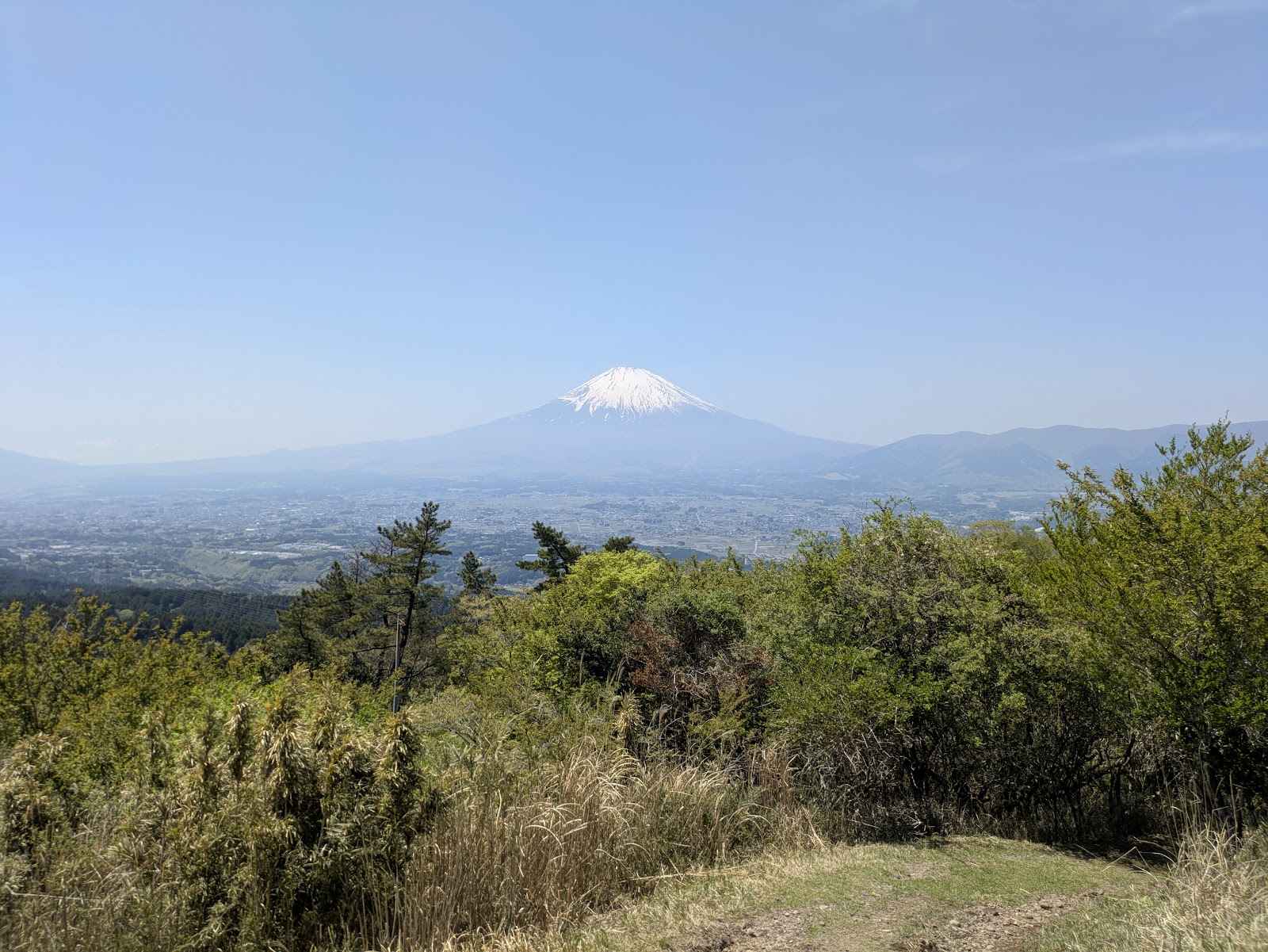 Ashigara Pass (2026) – Best of TikTok, Instagram & Reddit Travel Guide