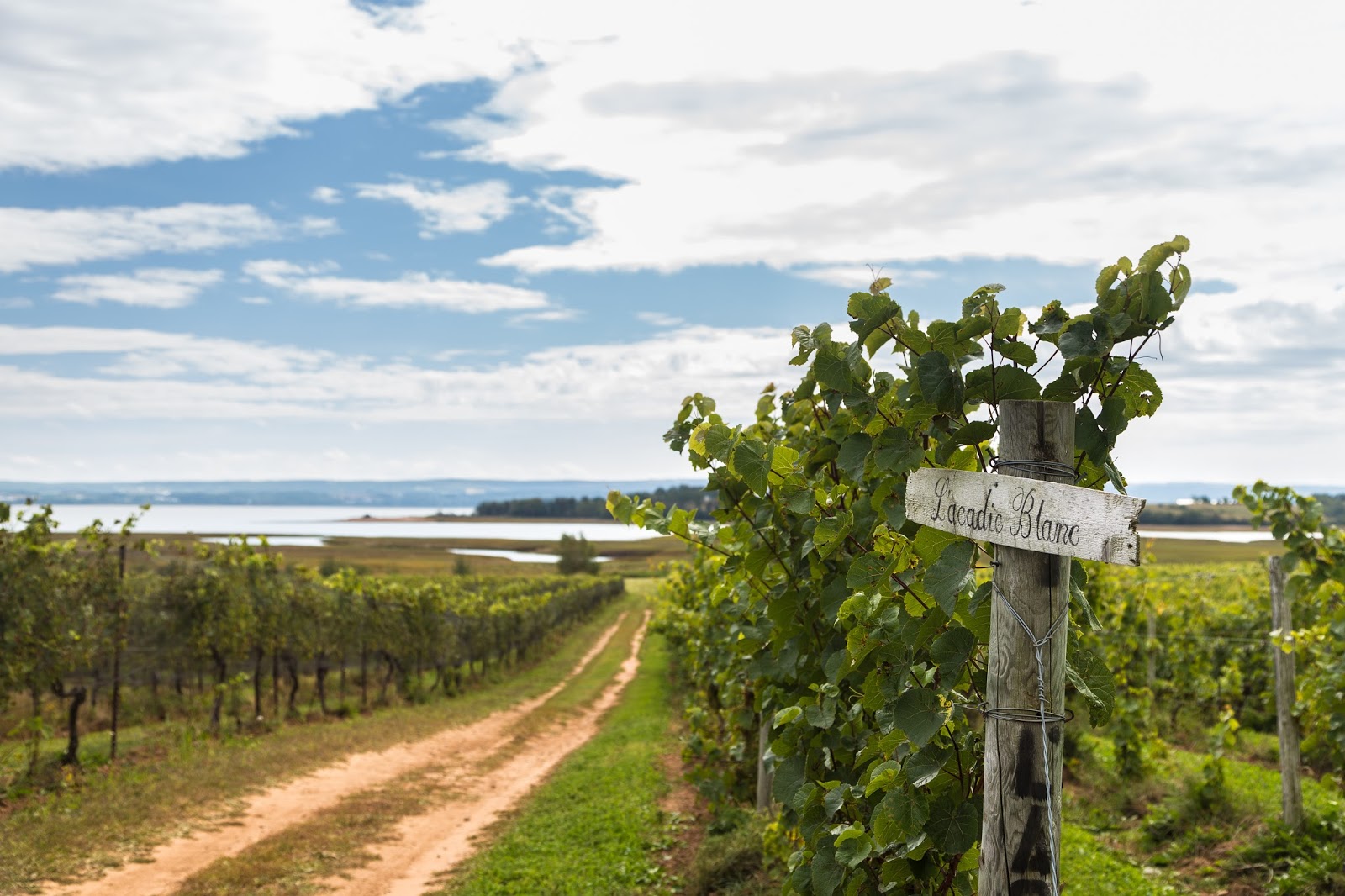 Blomidon Estate Winery (2026) – Best of TikTok, Instagram & Reddit ...