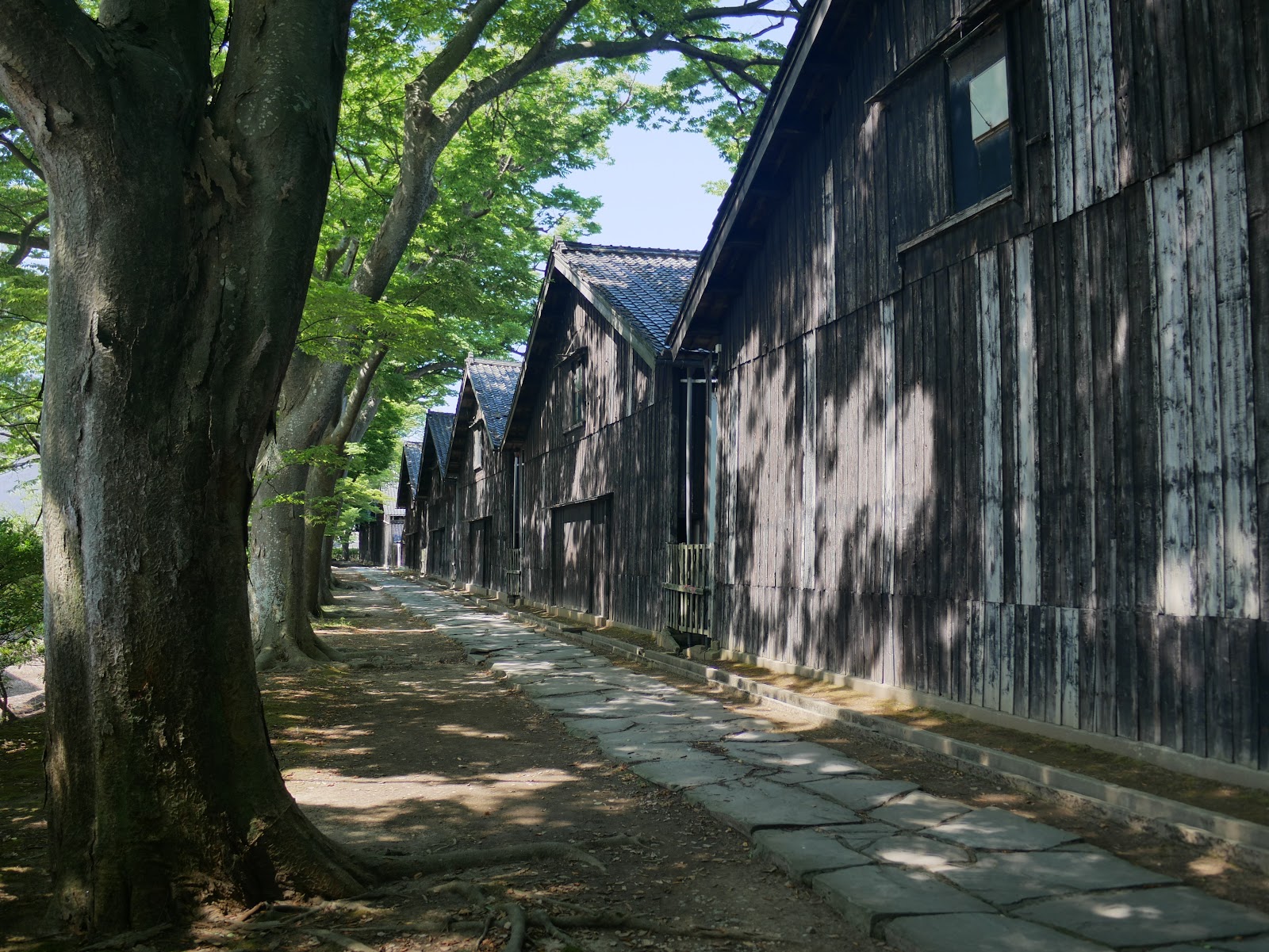 Shonai Rice Museum (2026) – Best of TikTok, Instagram & Reddit Travel Guide