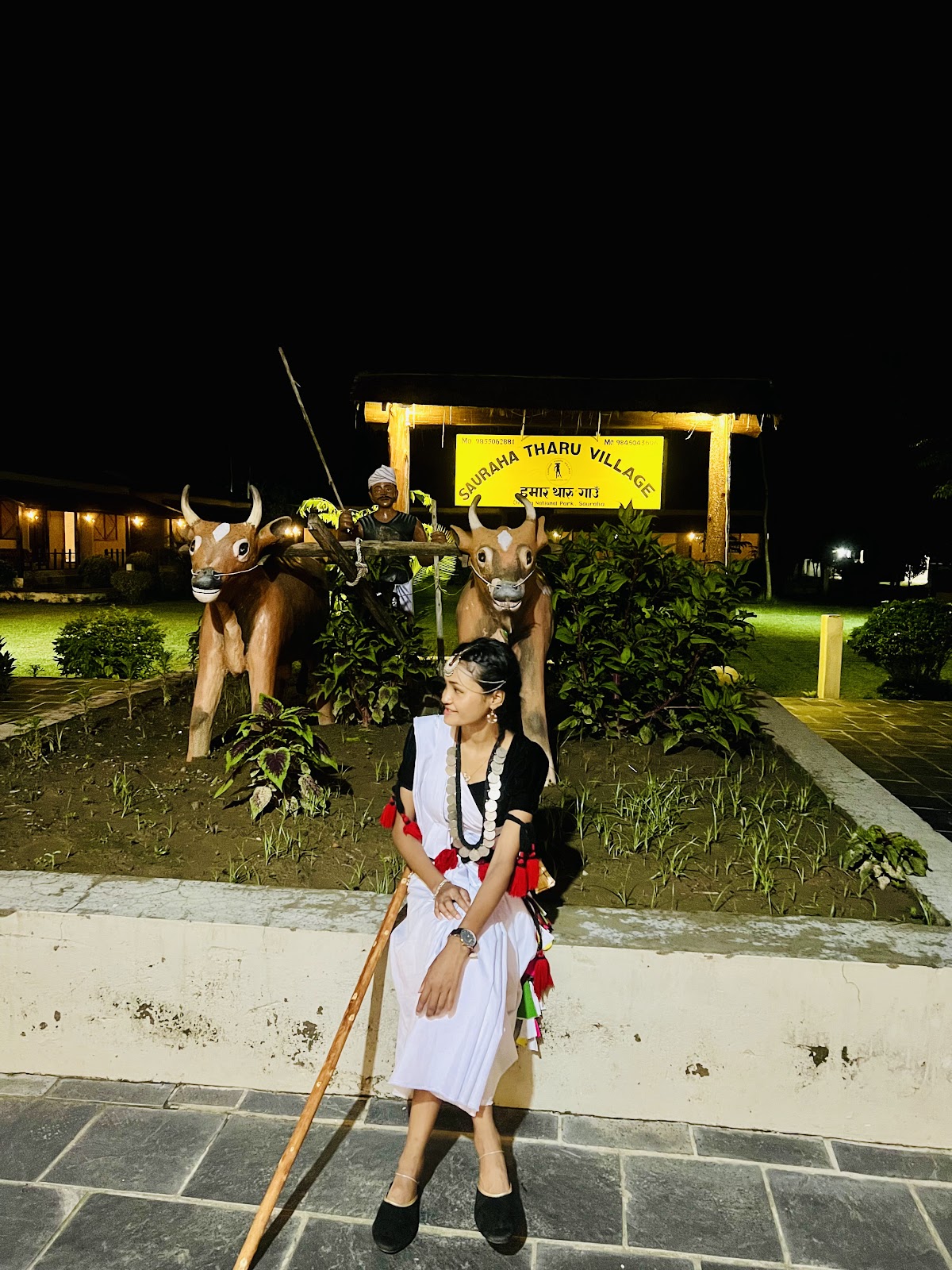 Tharu Village Sauraha Chitwan (2026) – Best of TikTok, Instagram ...
