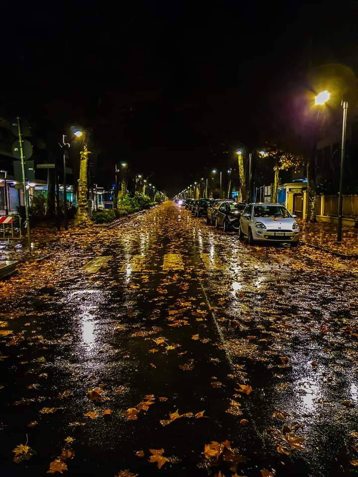 Viale Roma Cervia (2026) – Best of TikTok, Instagram & Reddit Travel Guide