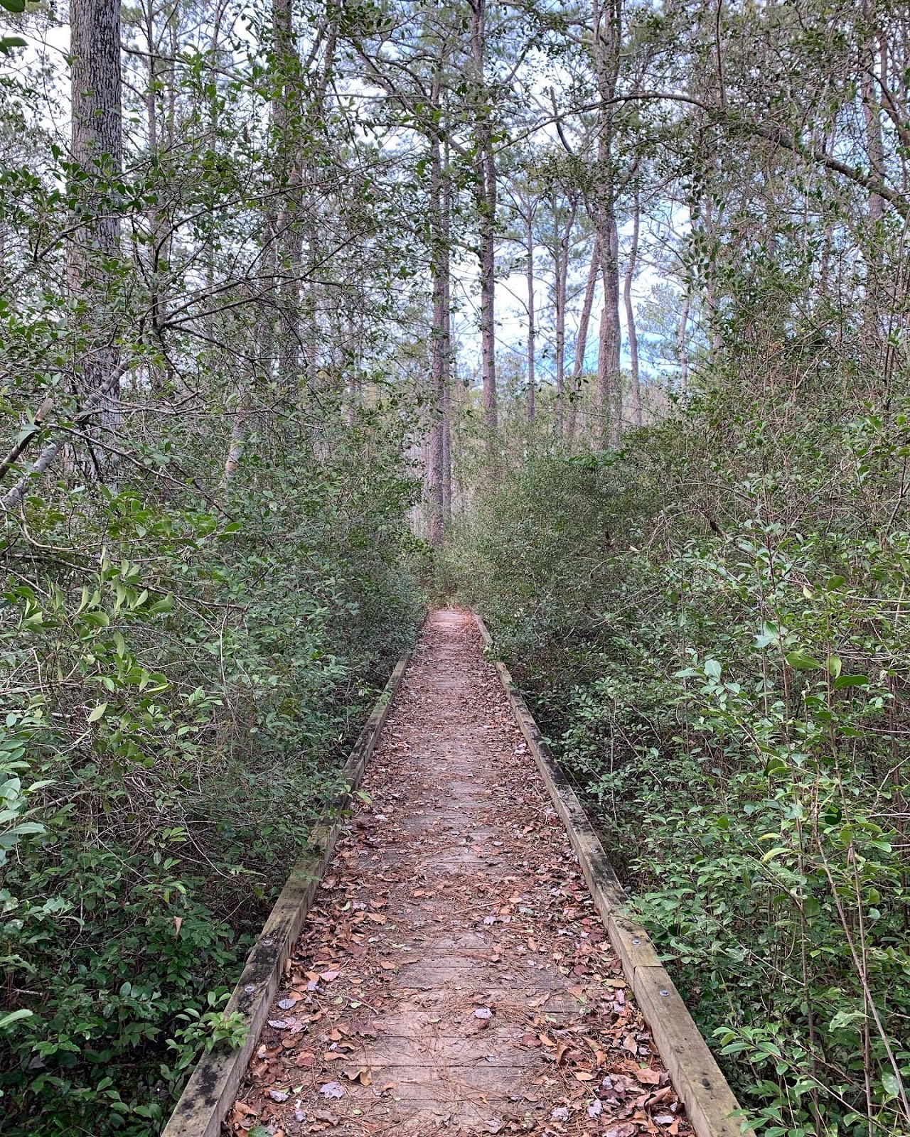 Neusiok Trail North Carolina (2026) – Best of TikTok, Instagram ...
